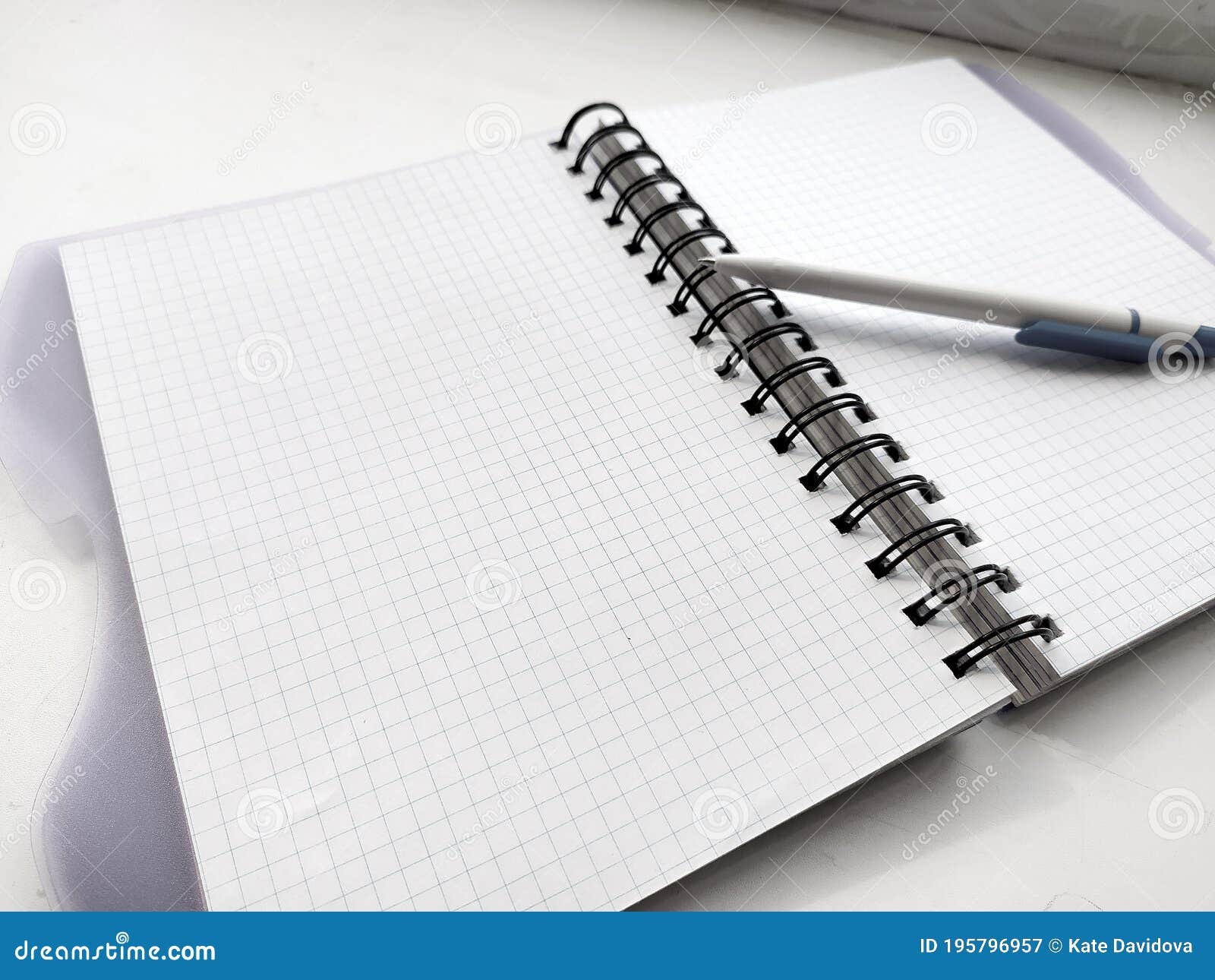 Notebook in a Cage, Blank Pages, with a Pen. in Gray, Muted Colors ...