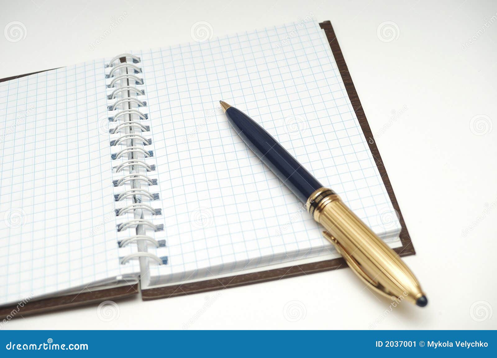 NOTEBOOK in CHECK III stock image. Image of business, ballpoint - 2037001