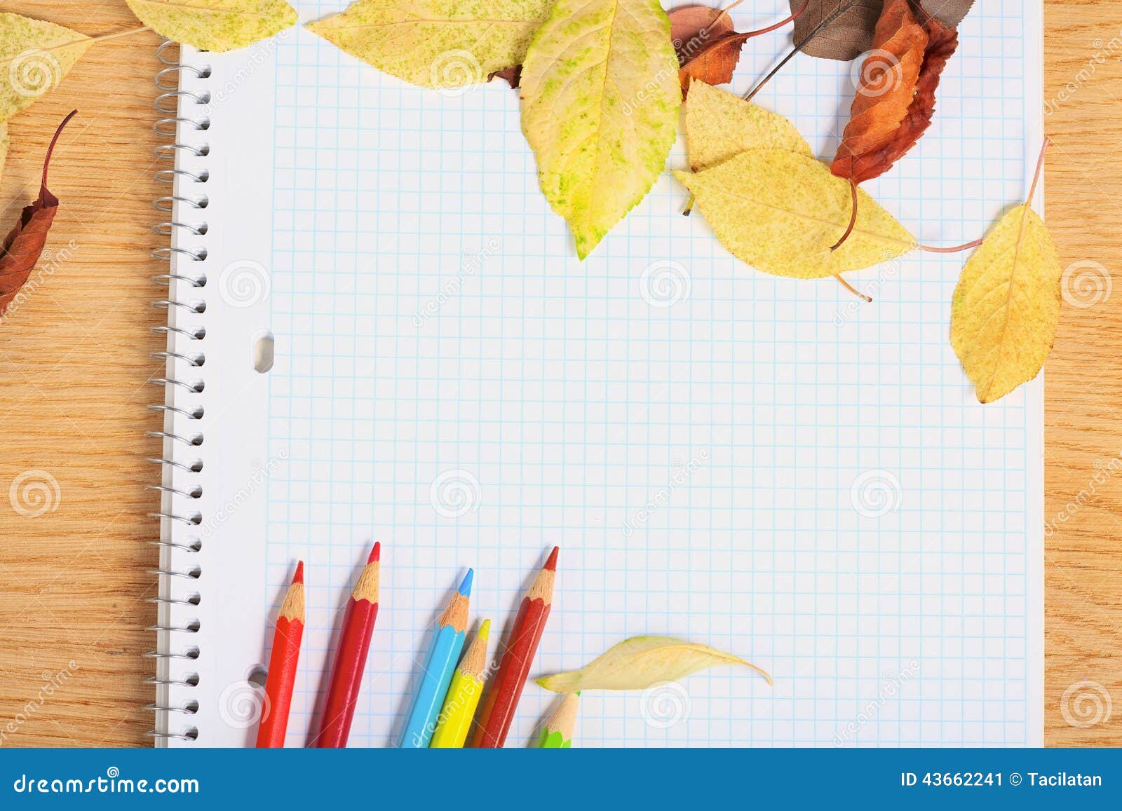 Notebook with Colored Pencils and Autumn Leaves. Stock Image - Image of ...