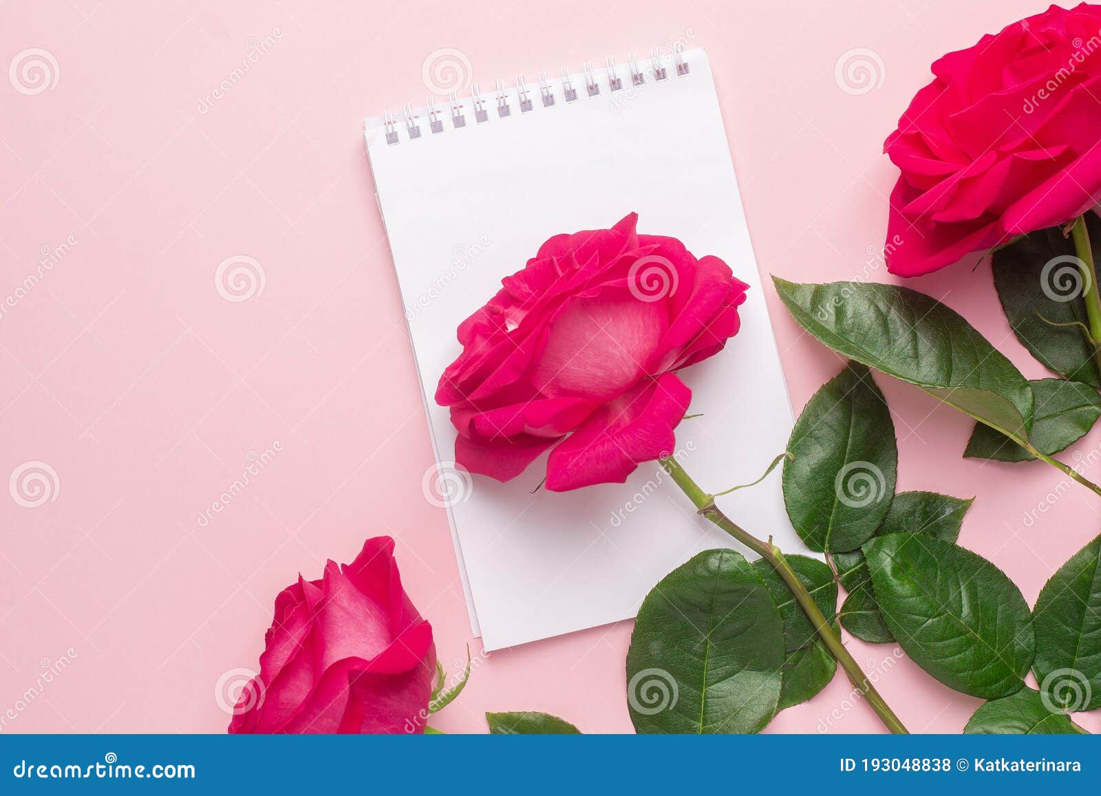 Notebook and Dark Pink Rose on a Pink Background Stock Photo - Image of ...