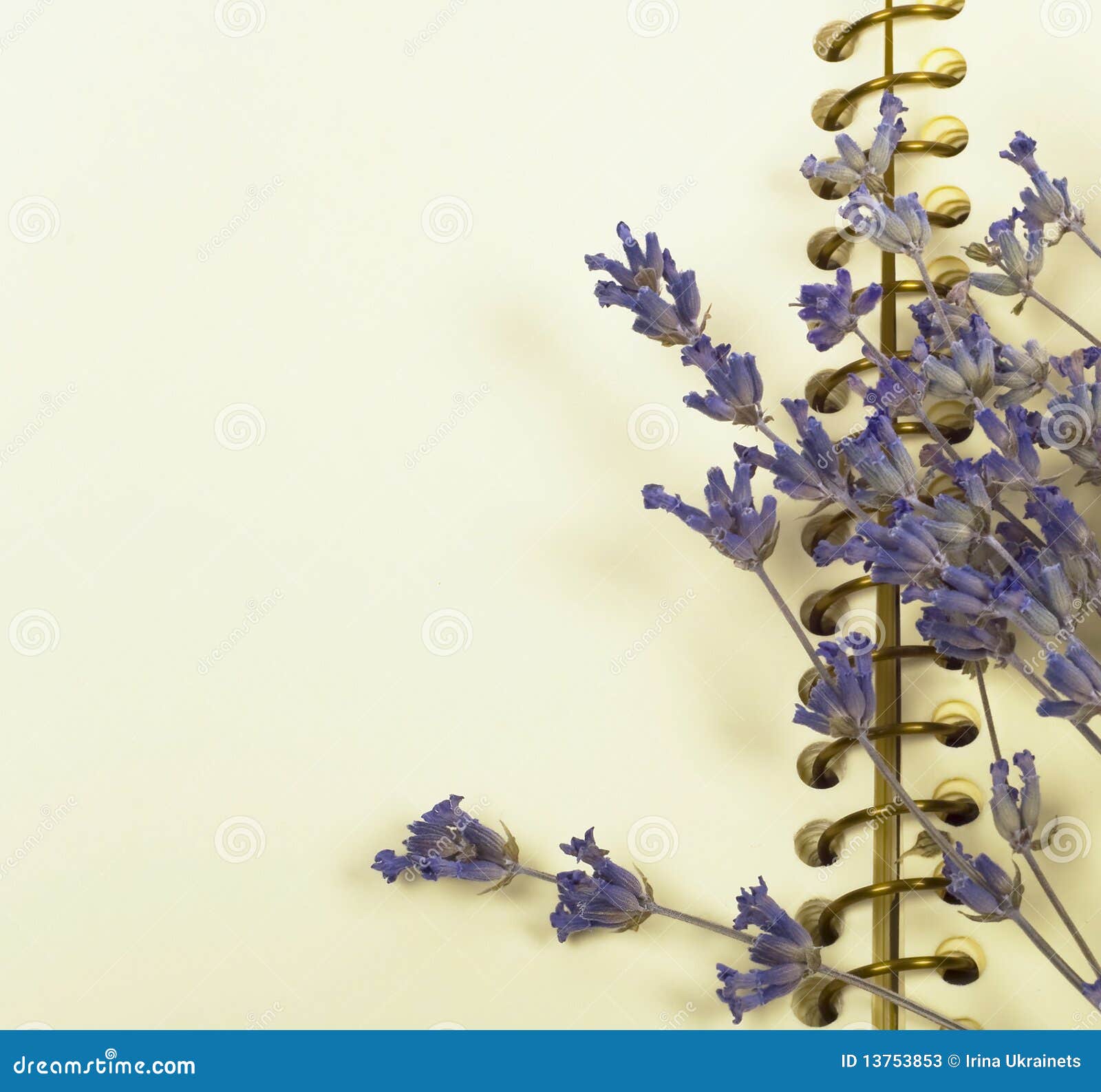 Notebook and dry lavender stock image. Image of brown - 13753853