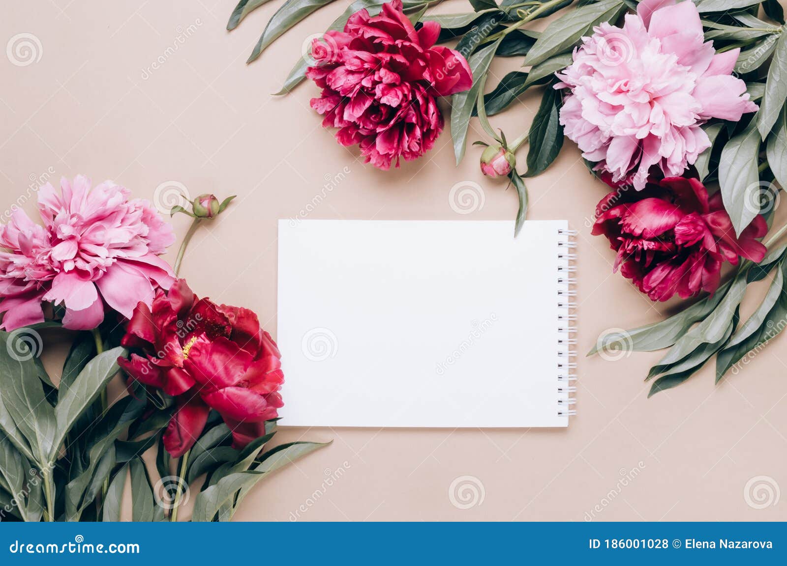 Notebook and Frame of Beautiful Peonies on Beige Background. Spring or ...