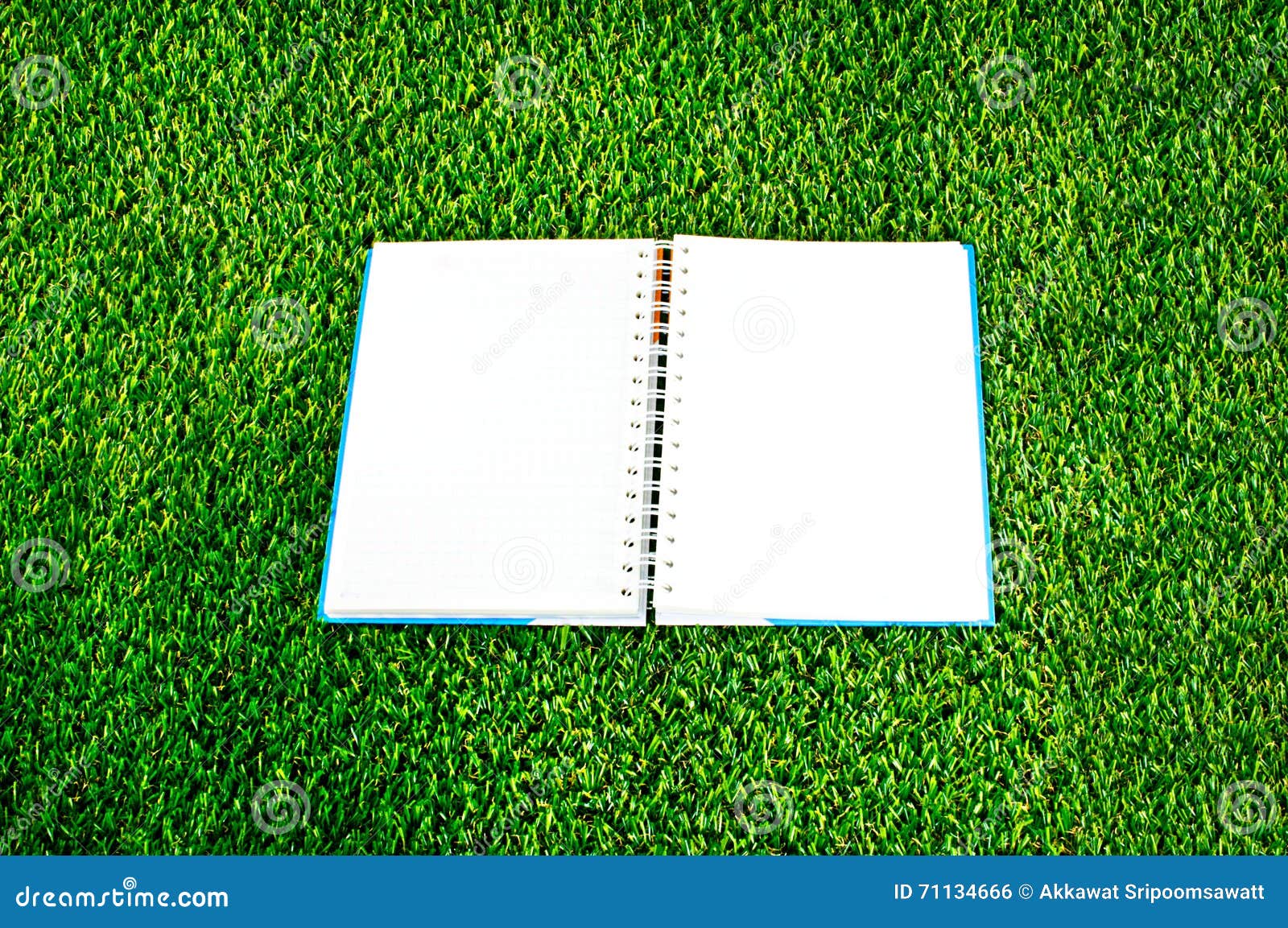 Notebook on Green Grass Background Stock Photo - Image of object, white ...