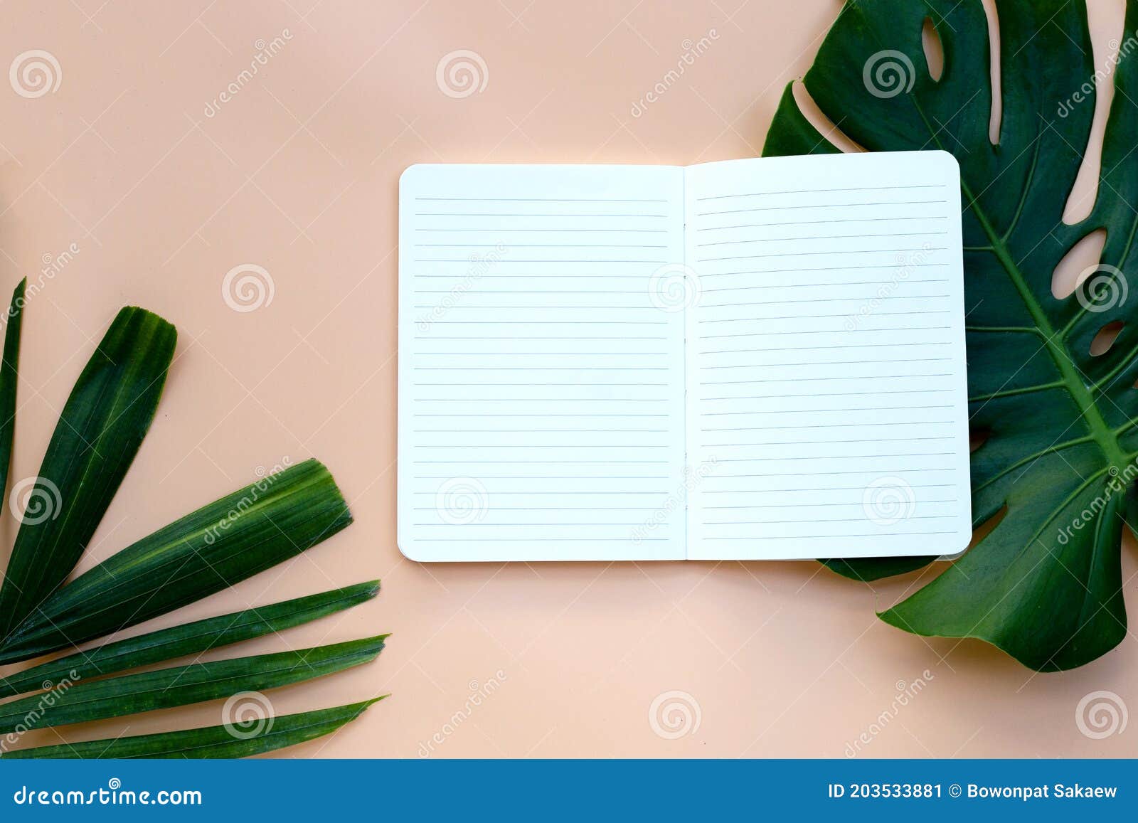 Notebook with Green Leaves on Pastel Background Stock Image - Image of ...