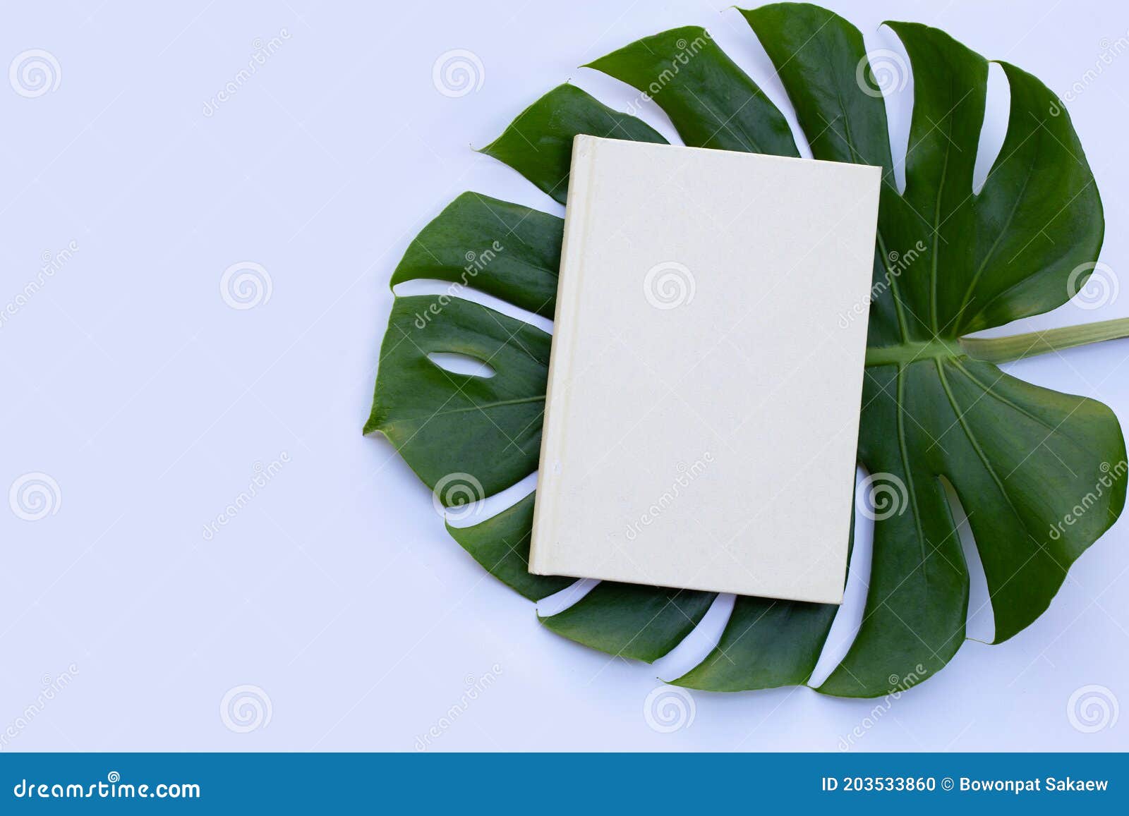 Notebook with Green Leaves on White Background Stock Photo - Image of ...