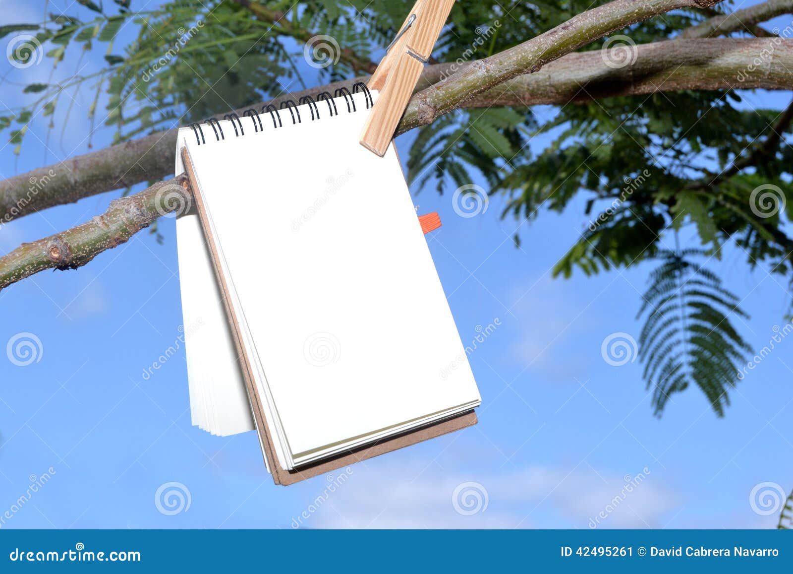 Notebook Hanging from a Tree Stock Image - Image of batter, punishment ...