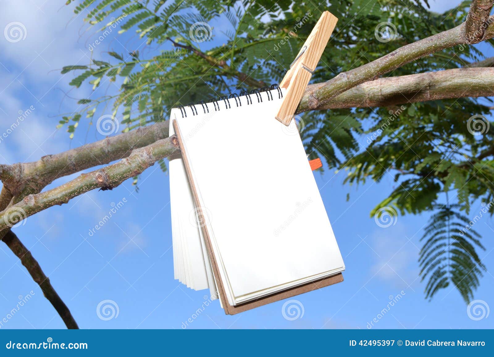 Notebook Hanging from a Tree Stock Image - Image of embrace ...