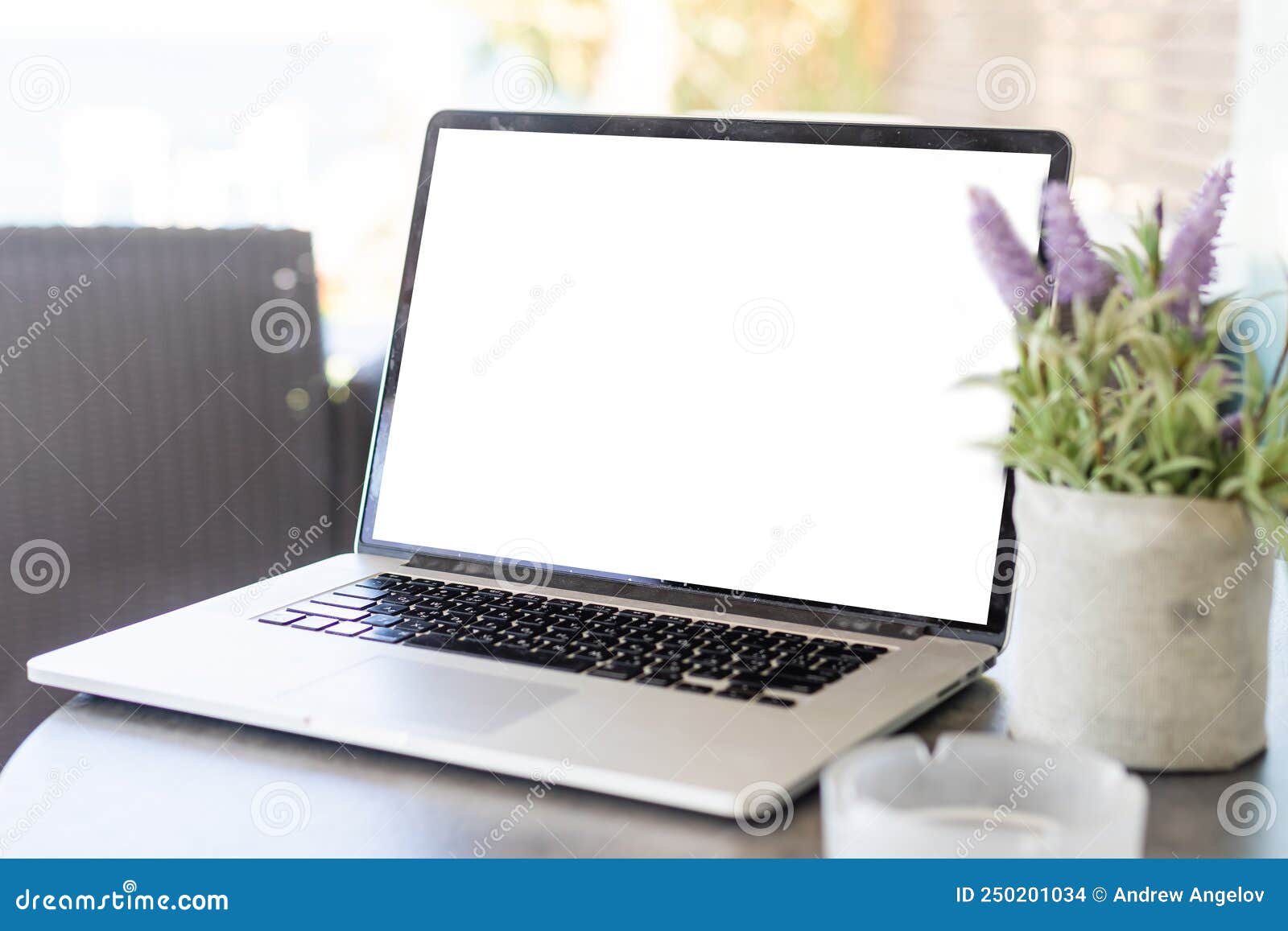 Notebook Ou Notebook Com Tela Em Branco Imagem de Stock Editorial ...