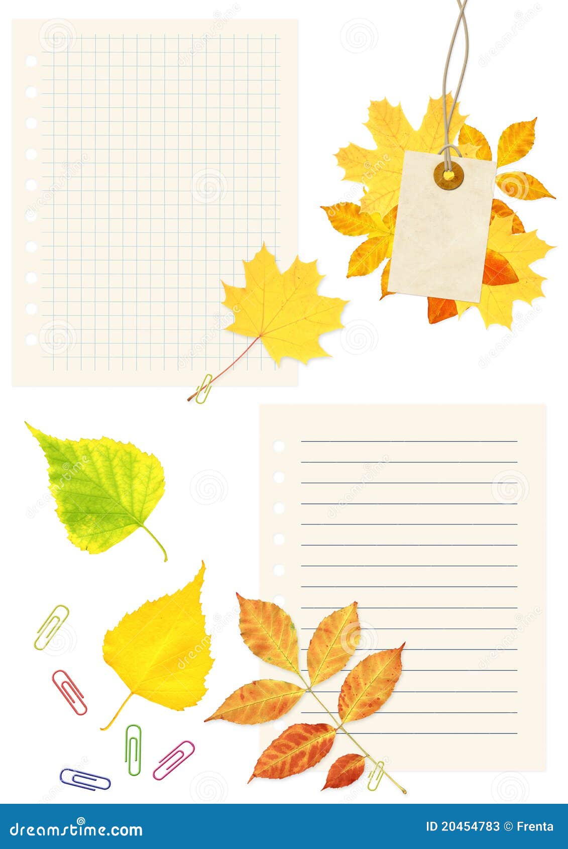 Notebook Pages, Labes and Autumn Leaves Stock Image - Image of banner ...