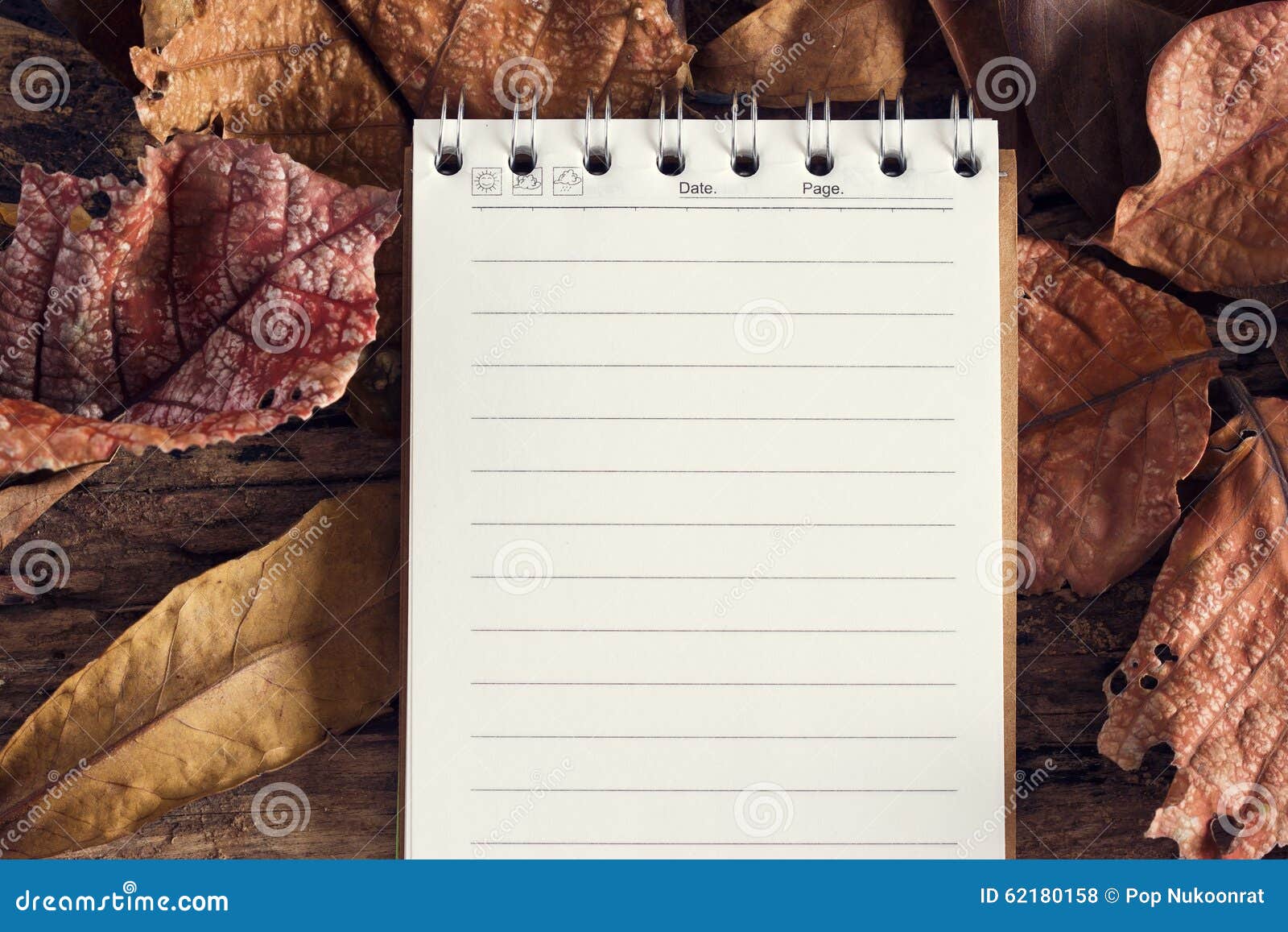 Notebook Paper or Note Pad with Dry Leaf in Nature Background Stock ...