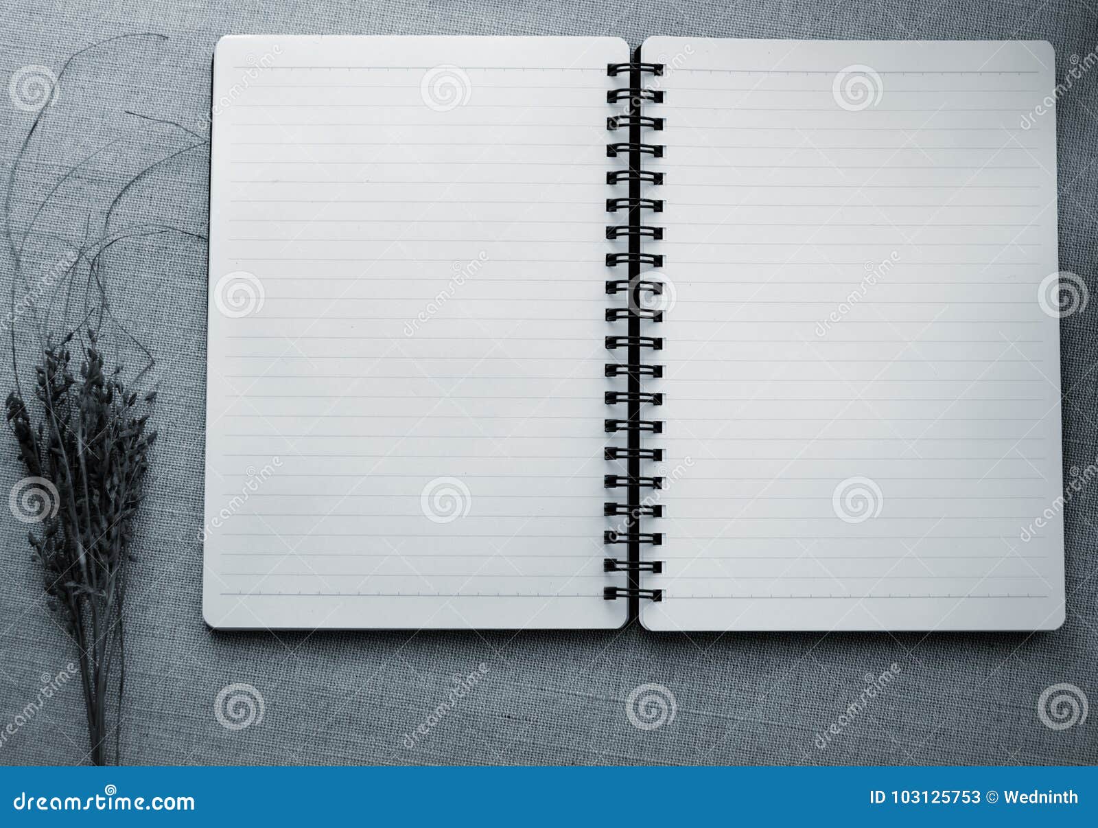 Notebook Pages Design
