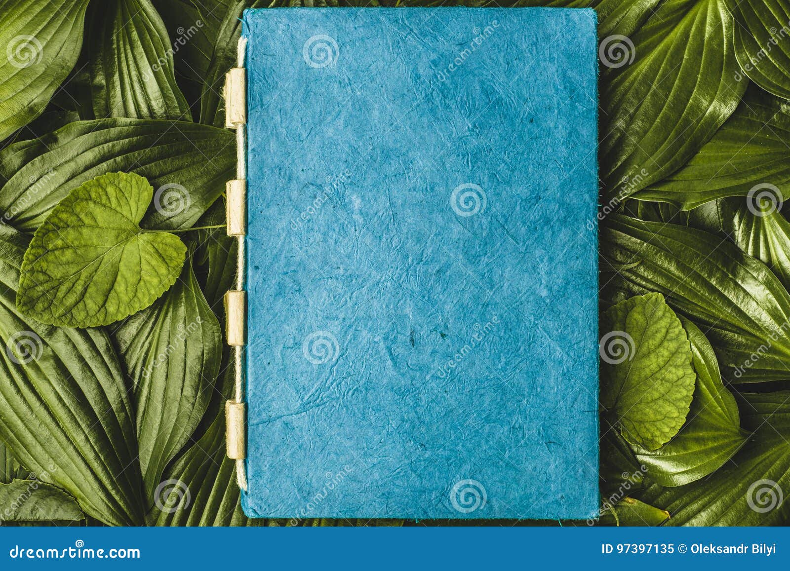 Notebook Paper with the Texture, Green Leaf Stock Image - Image of ...