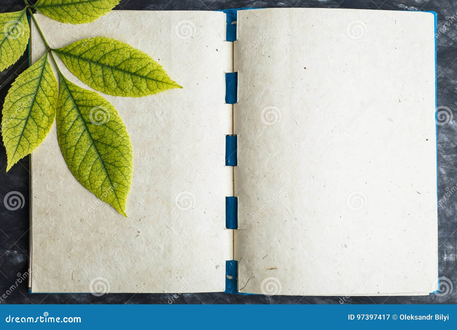 Notebook Paper with the Texture, Yellow Leaf Stock Image - Image of ...