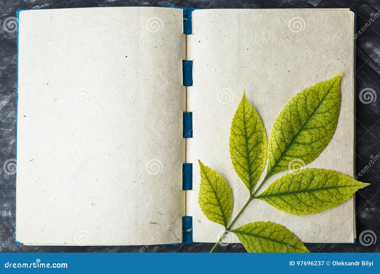 Notebook Paper with the Texture, Yellow Leaf Stock Image - Image of ...