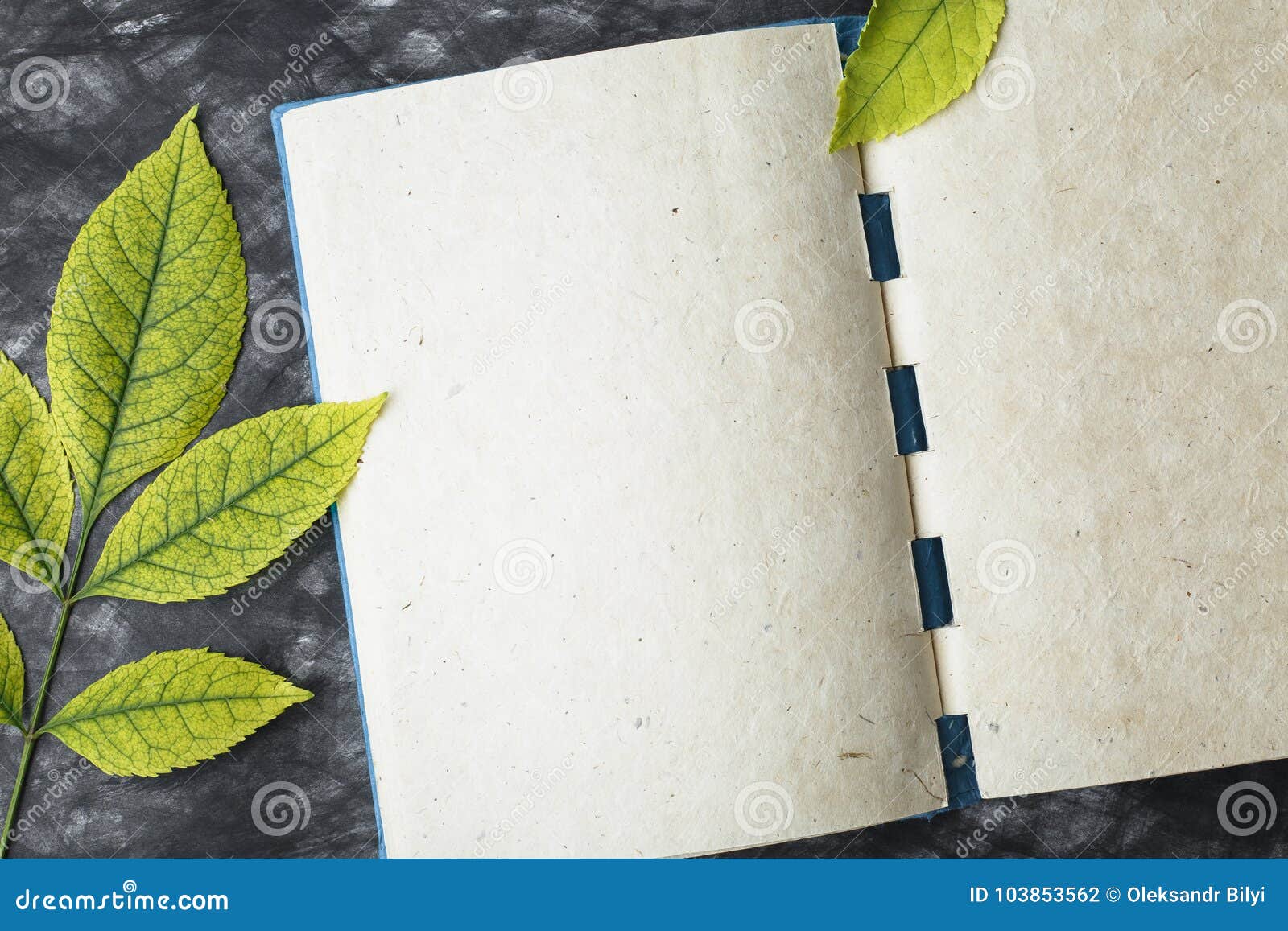 Notebook Paper with the Texture, Yellow Leaf Stock Photo - Image of ...