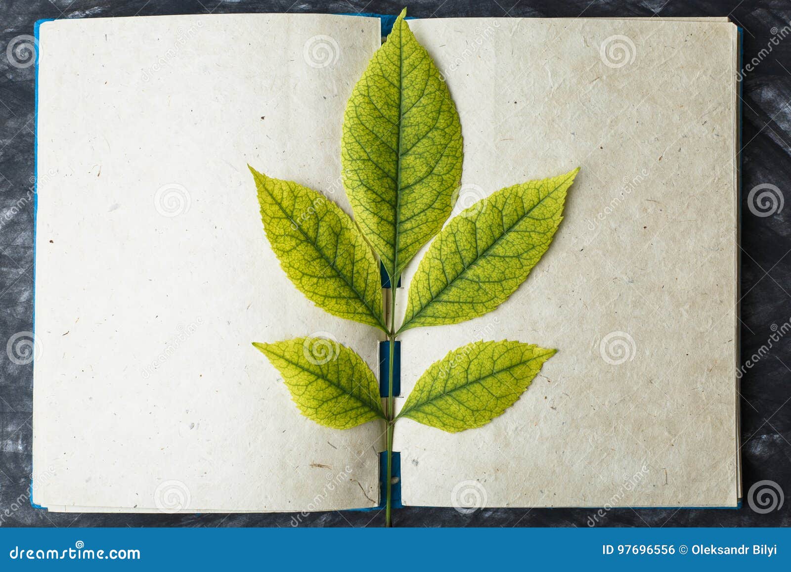 Notebook Paper with the Texture, Yellow Leaf Stock Photo - Image of ...