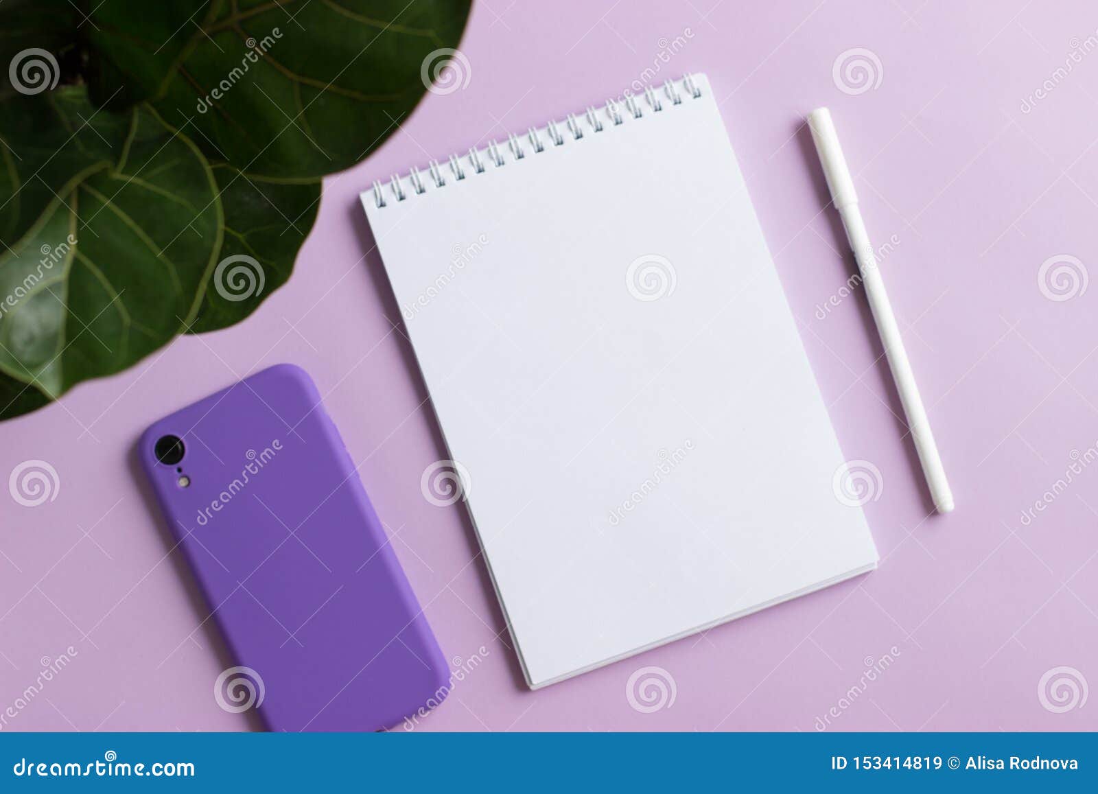 Notebook Is On A Pastel Background. Stock Image - Image of education ...