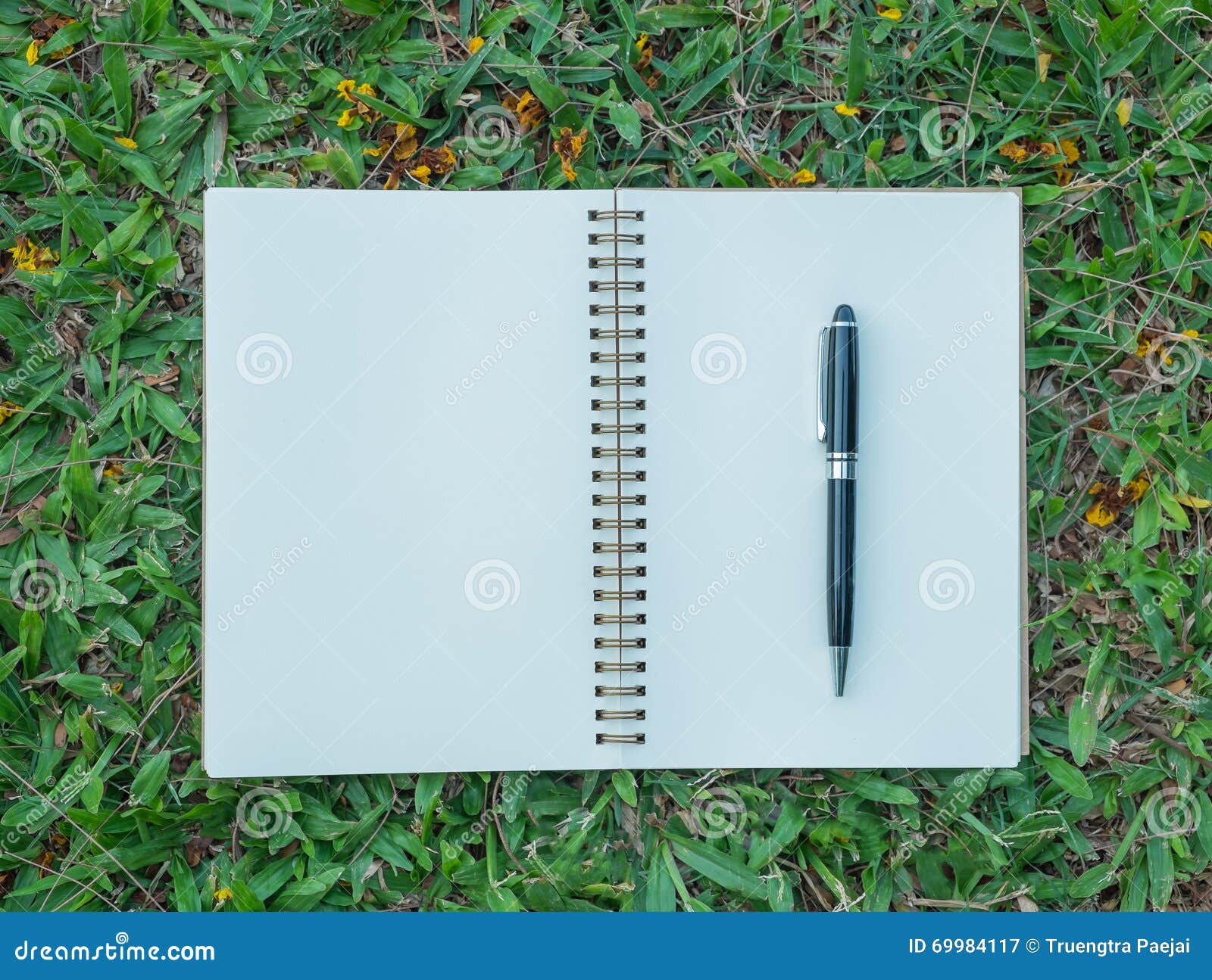 Notebook and pen on lawn stock image. Image of document - 69984117