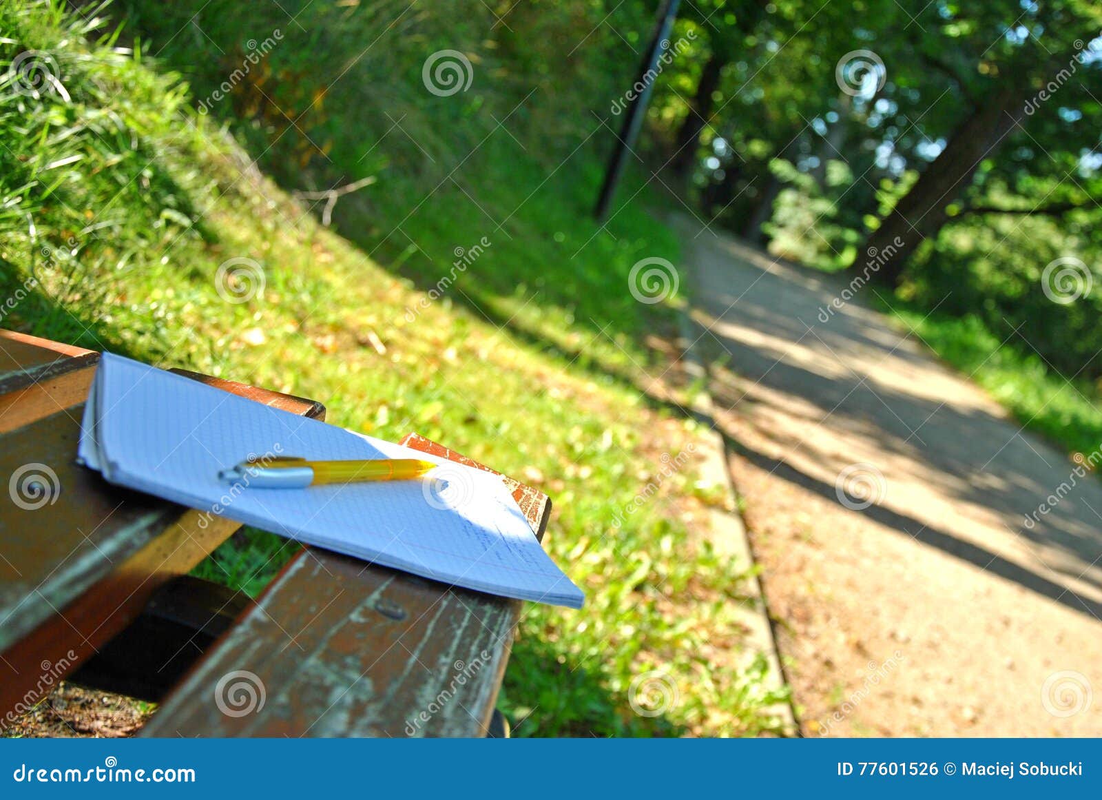 Notebook stock photo. Image of forest, sunny, notebook - 77601526