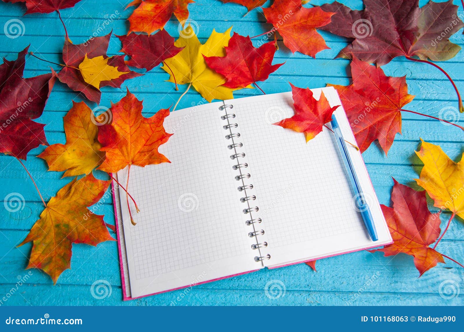 Bright plans for the fall. stock image. Image of bright - 101168063