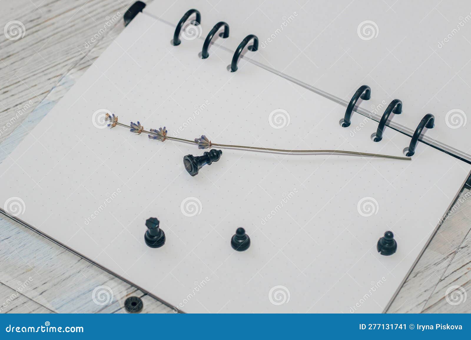 Notebook with Rings, Checkered Sheets, Transparent Cover with Chess ...