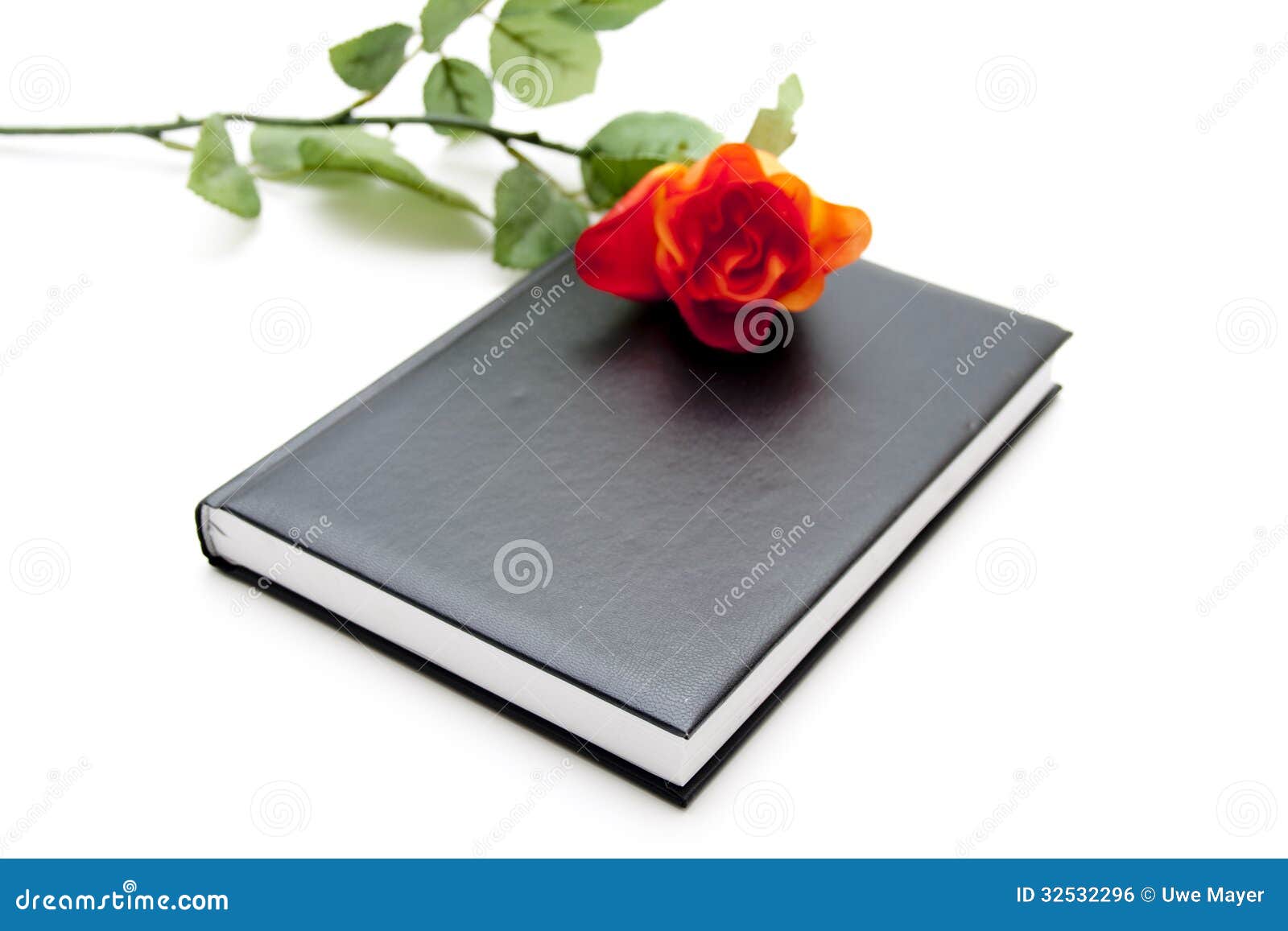 Notebook with rose stock photo. Image of plant, flower - 32532296