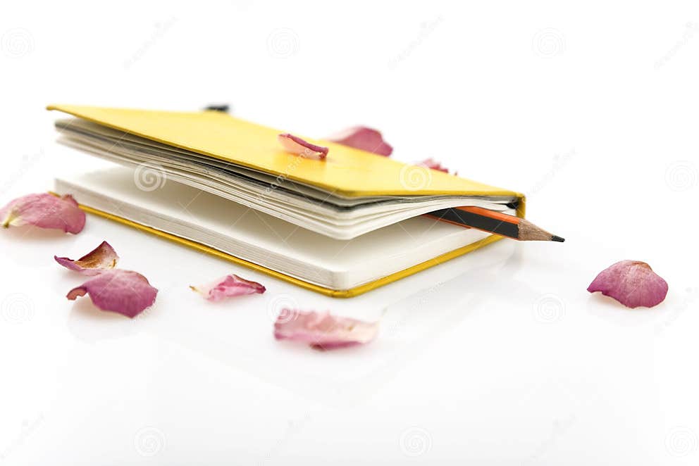 Notebook and roses stock image. Image of business, paper - 13564667