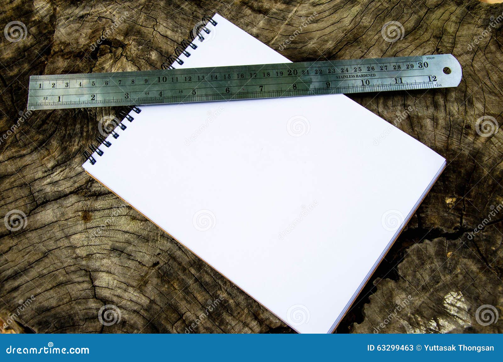 Notebook with Ruler on Old Tree Stock Image - Image of persistence ...