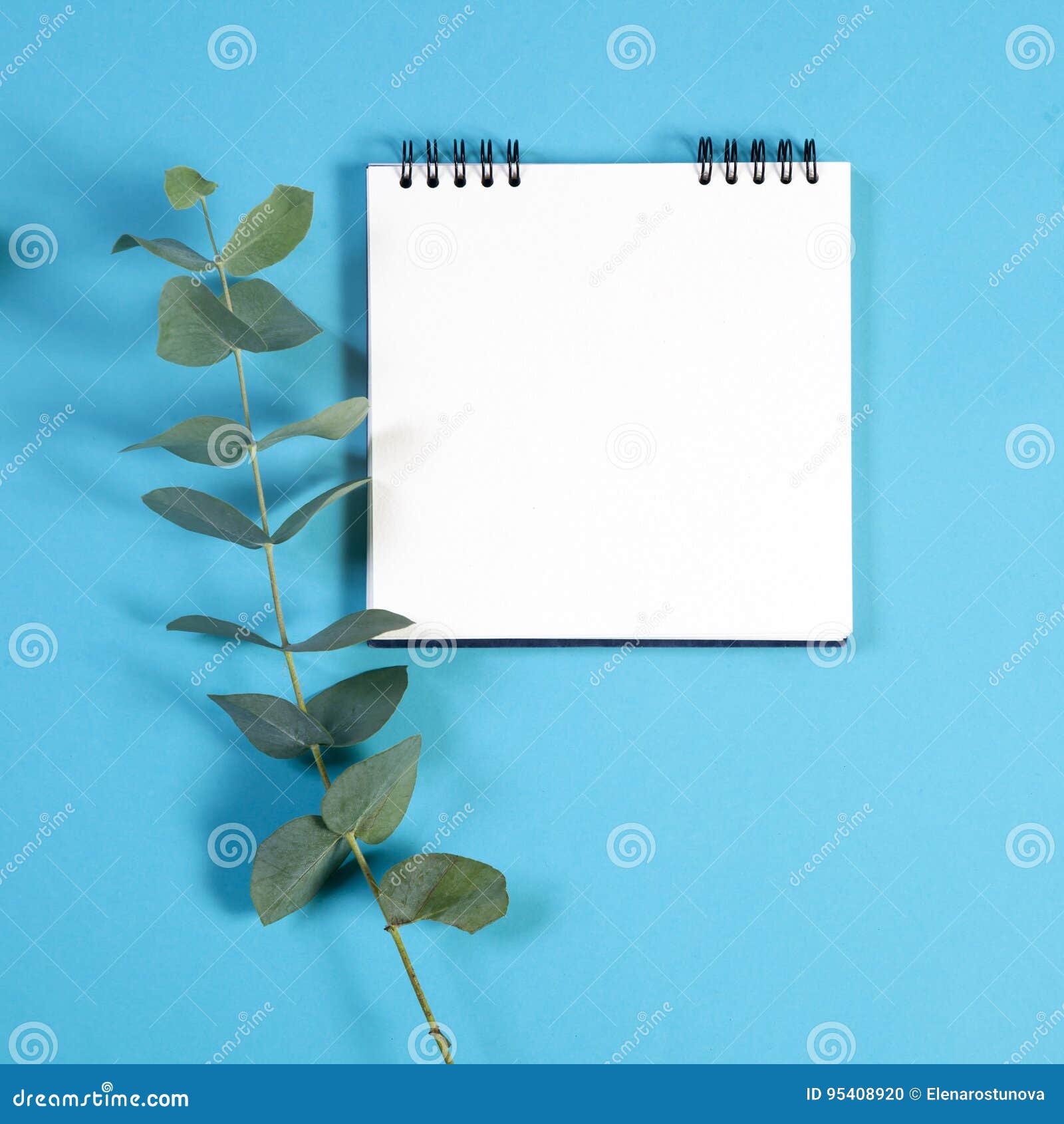 Notebook on the Springs with a Eucalyptus on a Blue Background with an ...