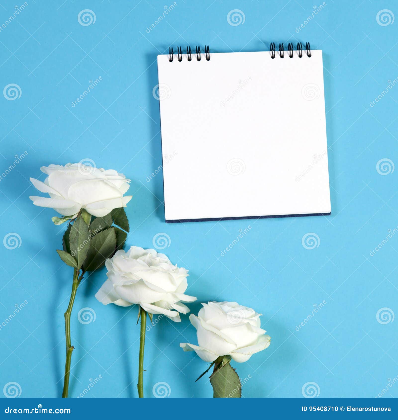 Notebook on the Springs with a White Rose on a Blue Background with an ...