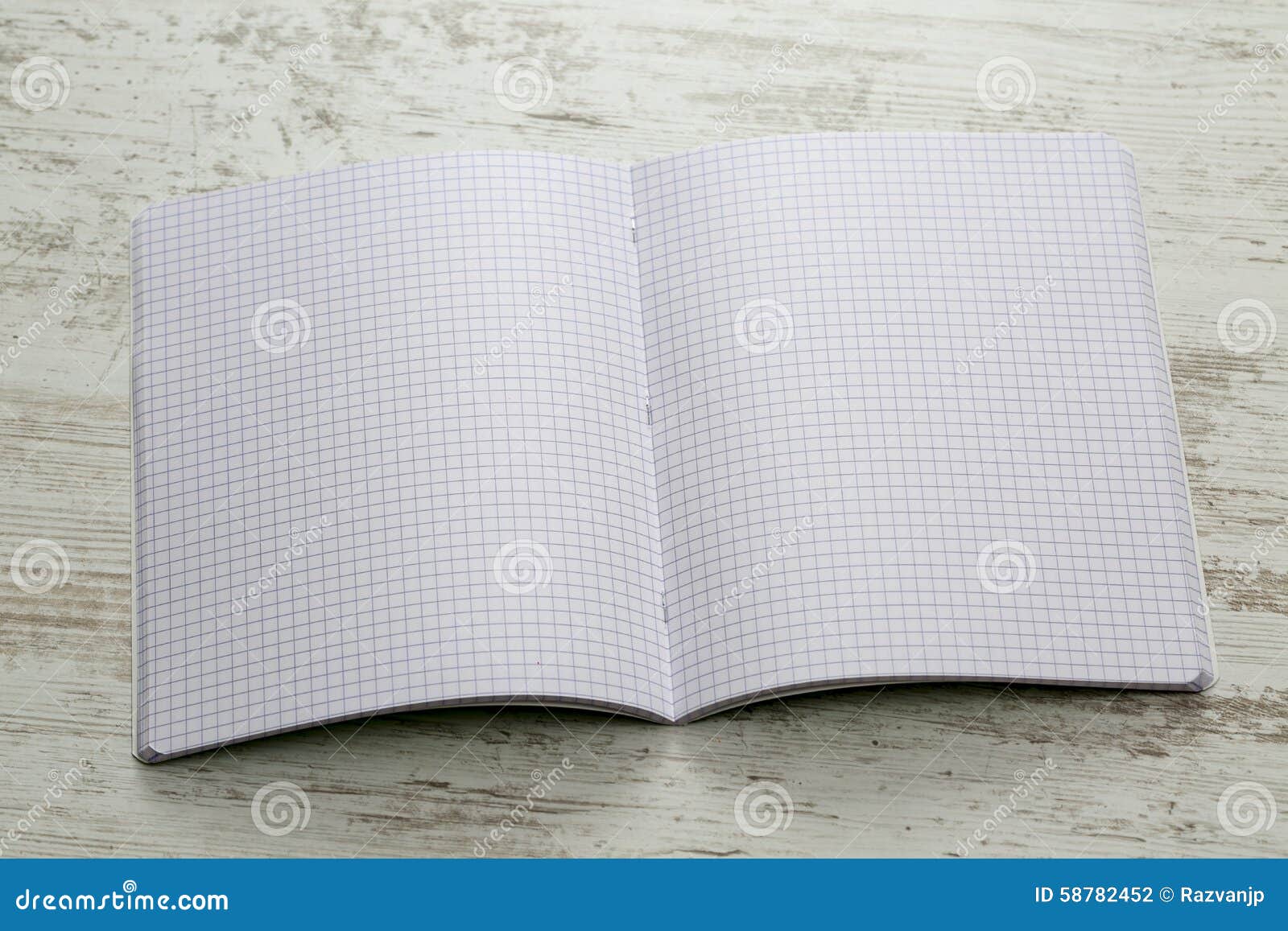 Notebook with Squares stock photo. Image of bird, texture - 58782452