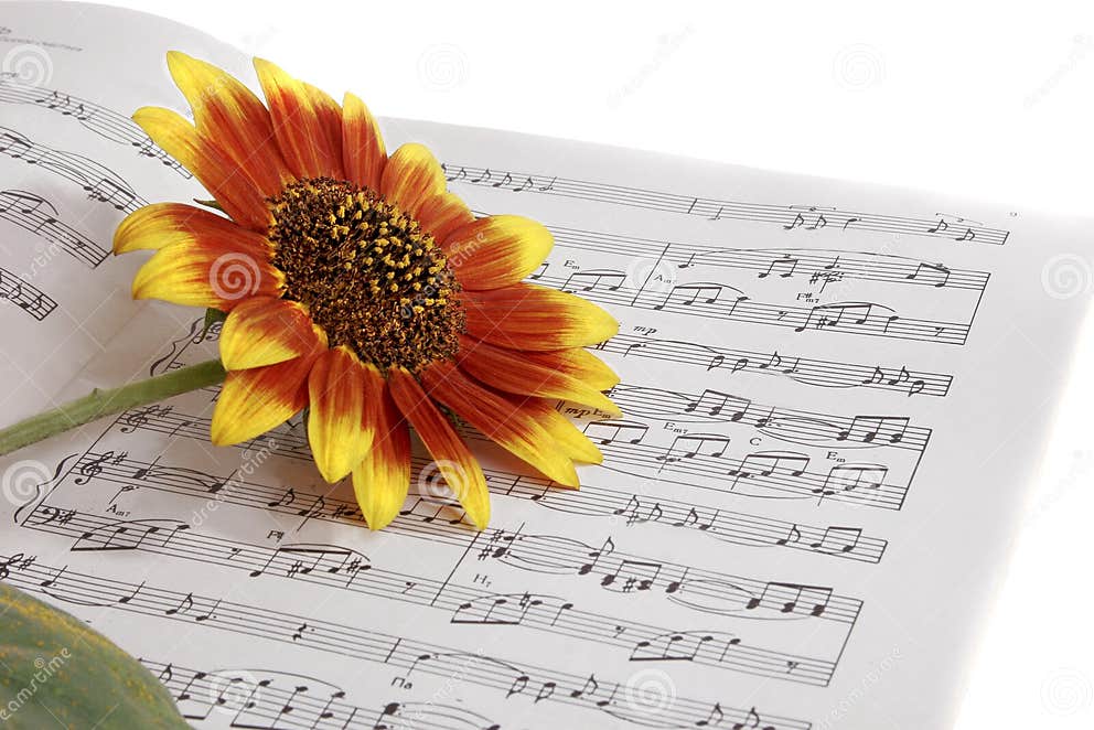 Notebooks with Notes on the Music & Flower Stock Photo - Image of ...