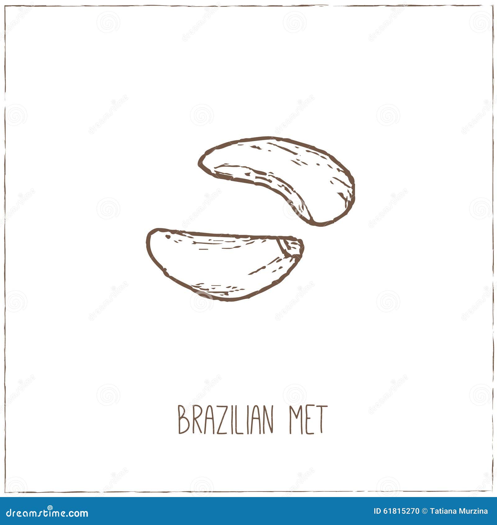 Noten Schetsen Hand-tekening Stock Illustratie - Illustration of ...