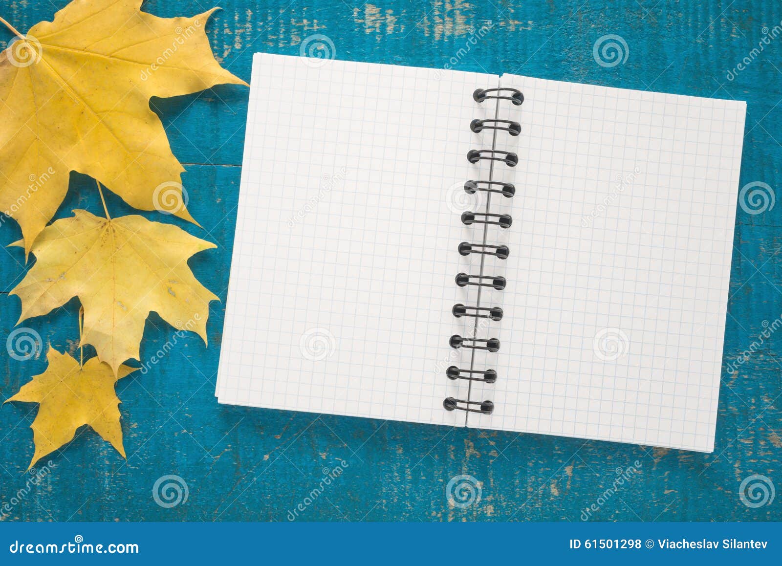 Notepad with autumn leaves stock photo. Image of school - 61501298