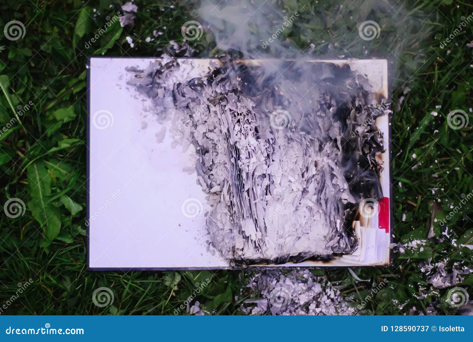 Notepad Burning on Green Summer Grass Outdoors. Stock Image - Image of ...