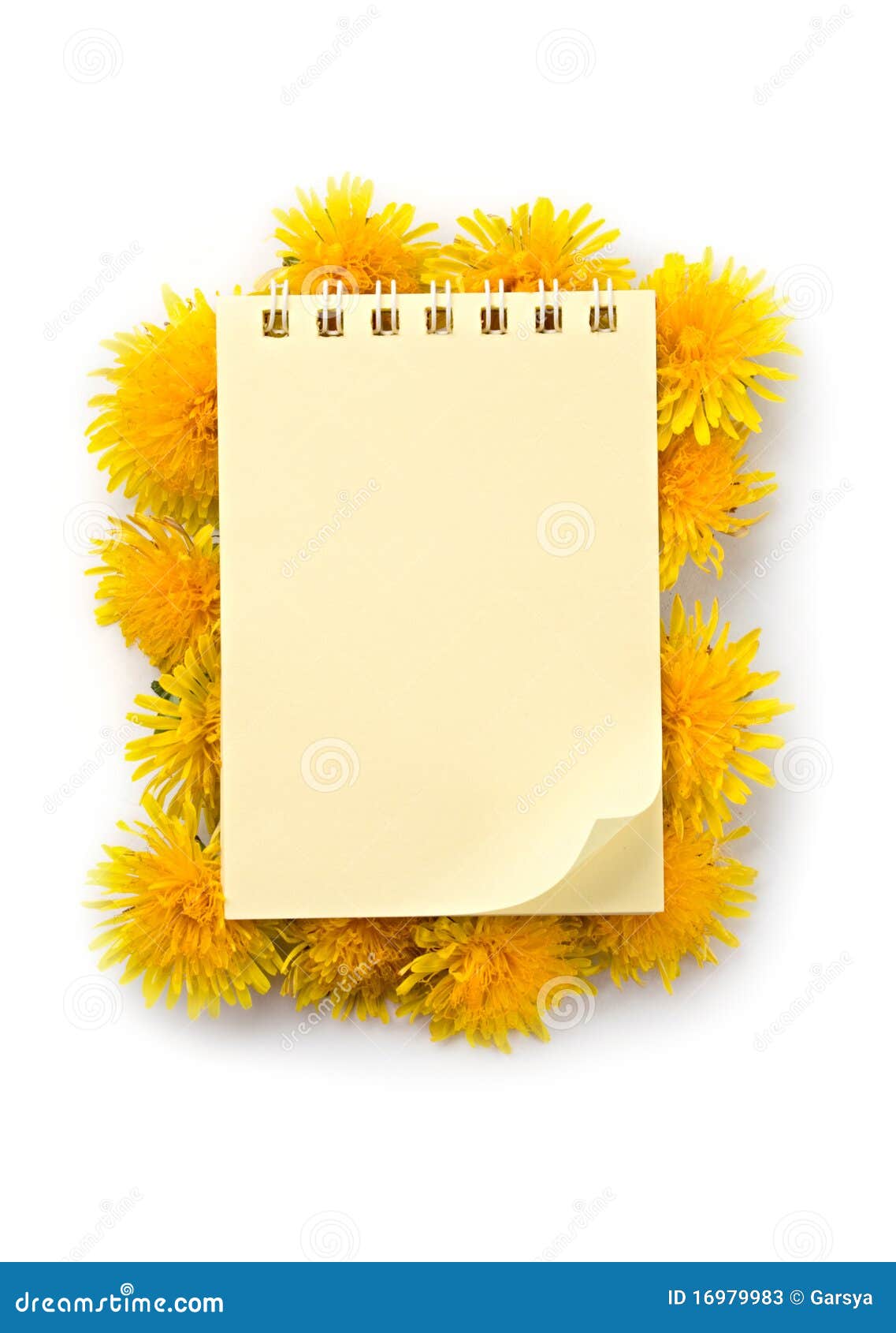 Notepad and flowers stock image. Image of copybook, paper - 16979983