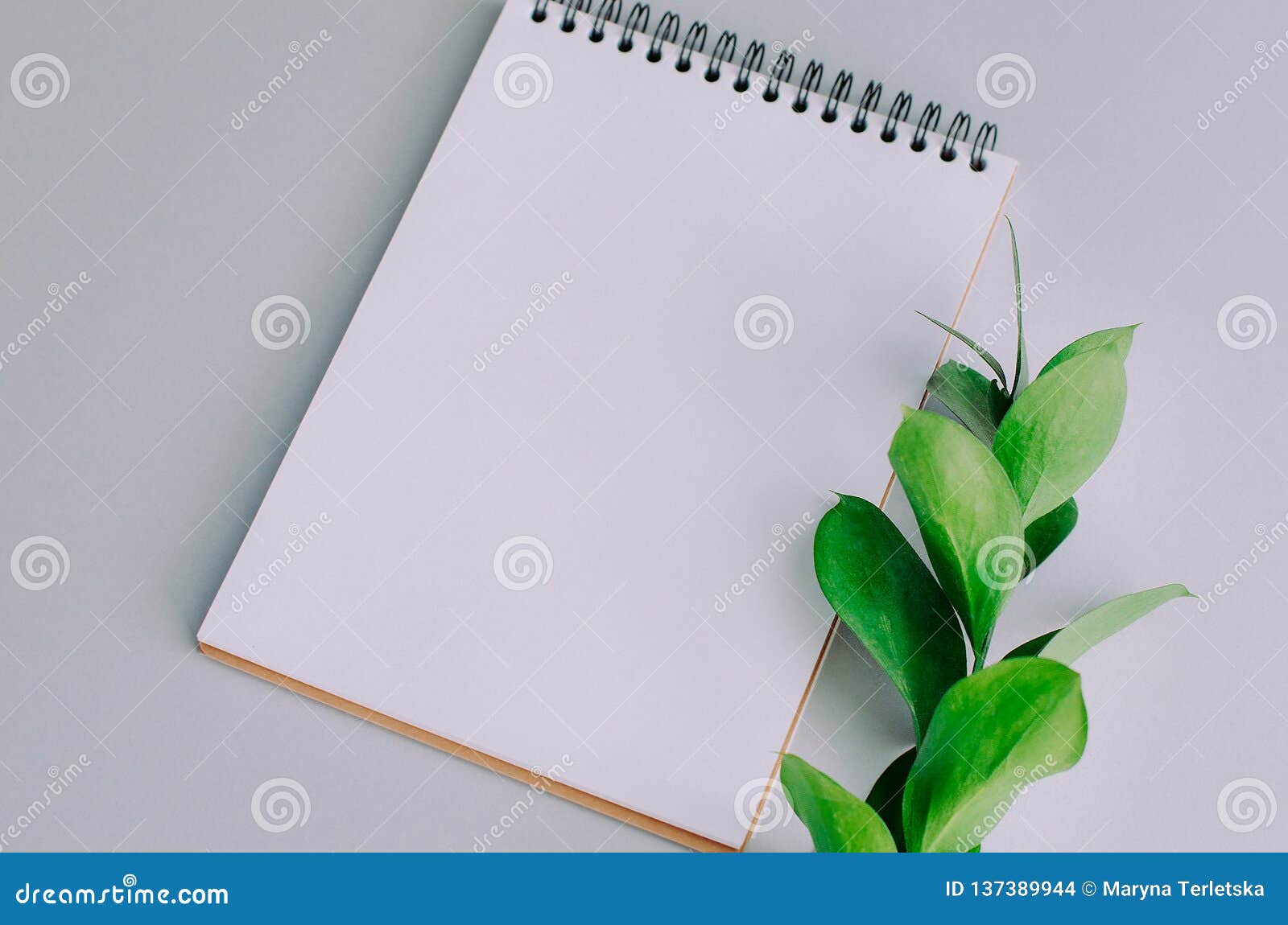 Notepad with a Green Branch with Leaves on a Gray Background Stock ...