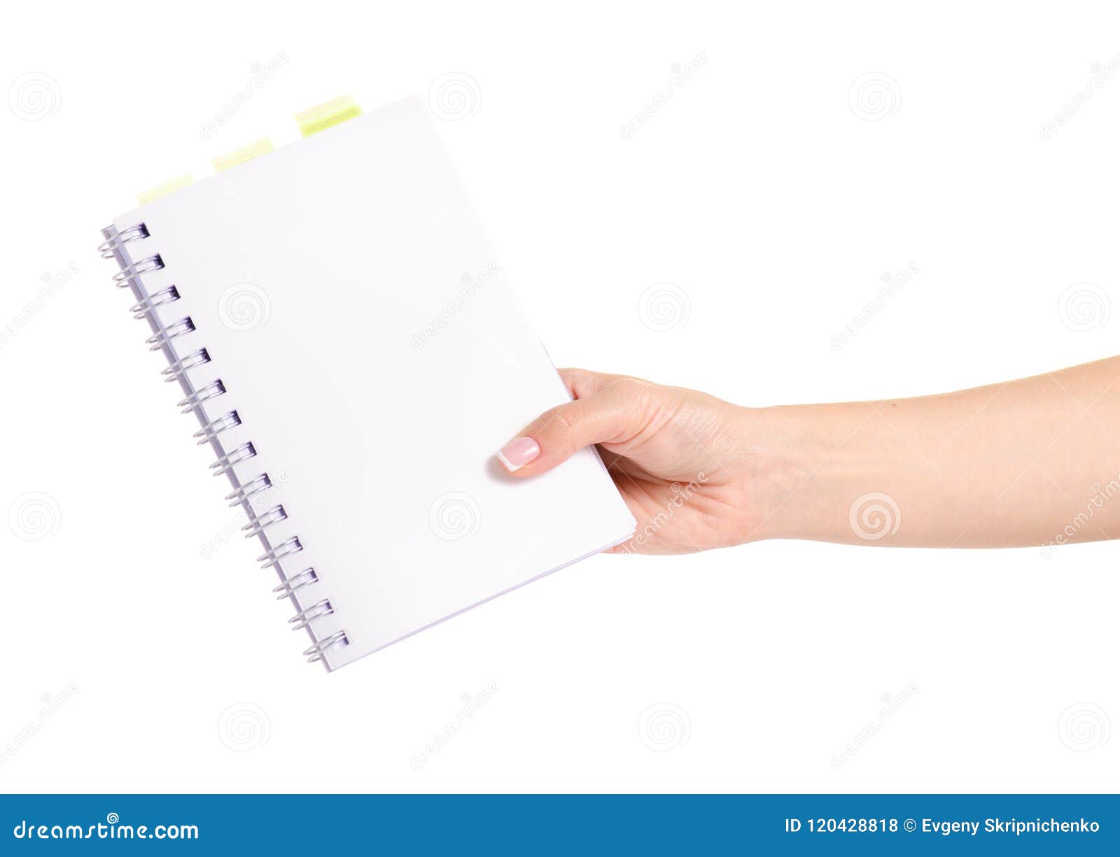 Notepad in hand stock photo. Image of message, education - 120428818