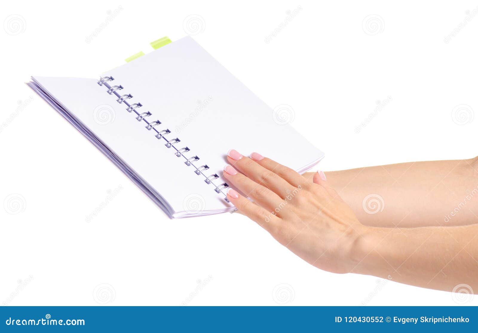 Notepad in hand stock photo. Image of memo, black, idea - 120430552