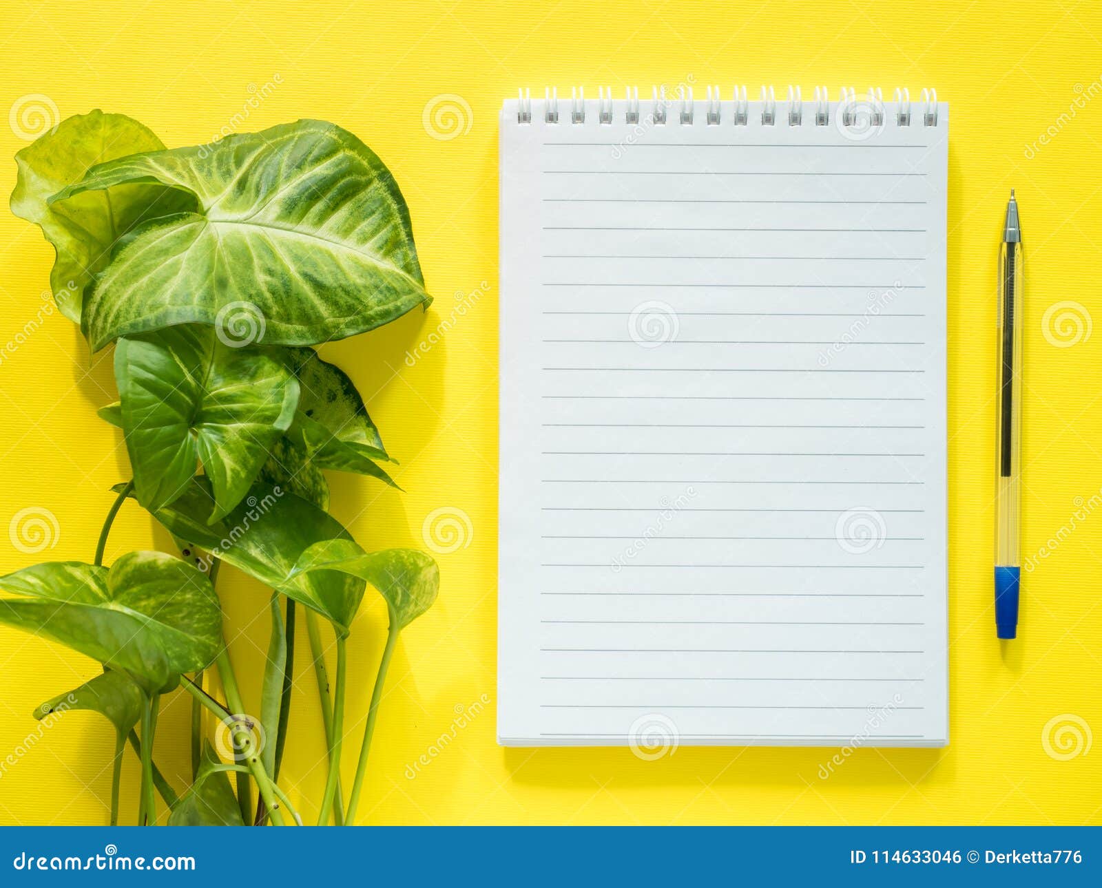 Notepad for Notes, Green Plant Leaves on Yellow Desktop, Flat Lay, Copy ...