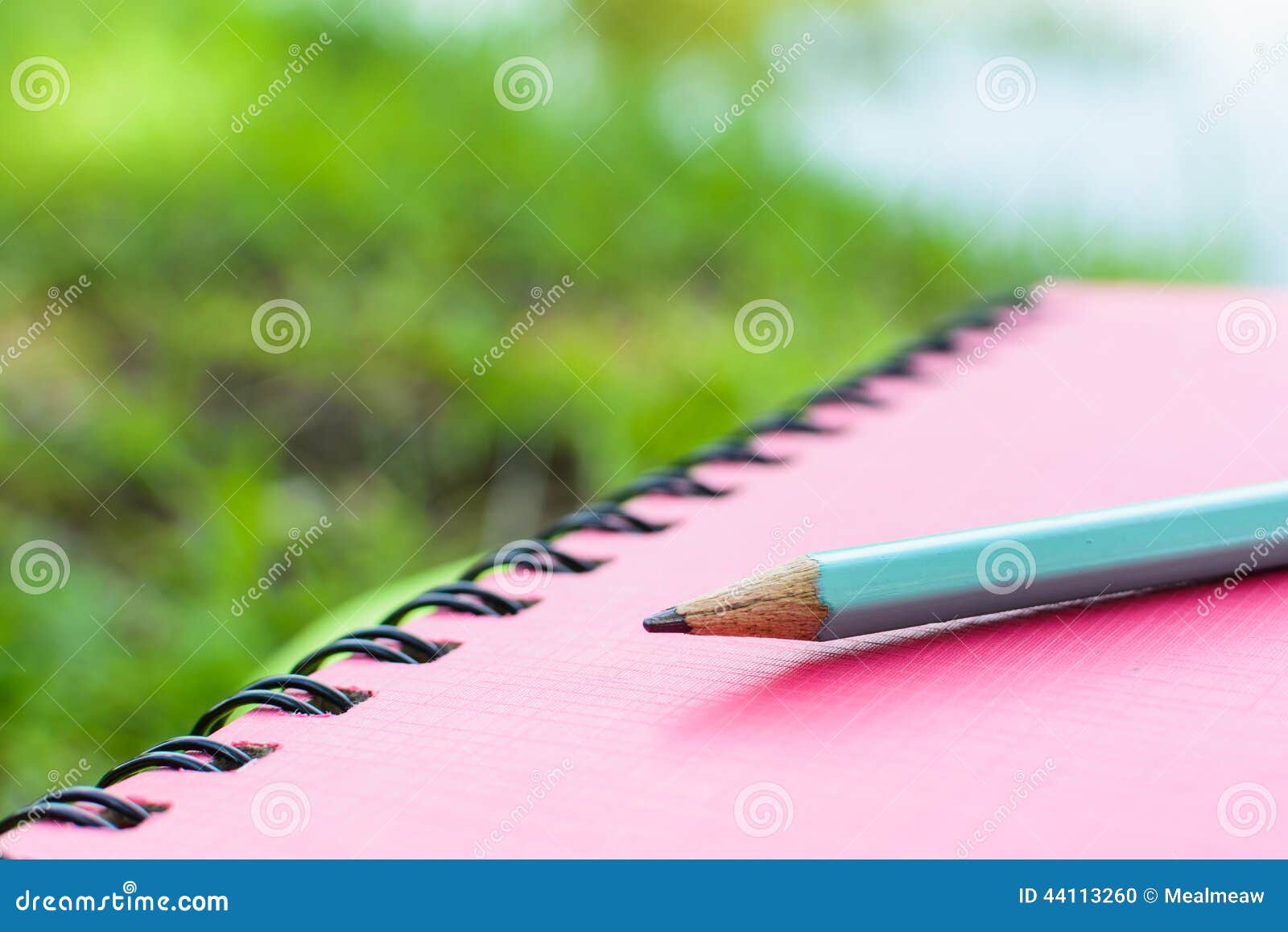 Notepad and pen stock photo. Image of paper, list, notes - 44113260