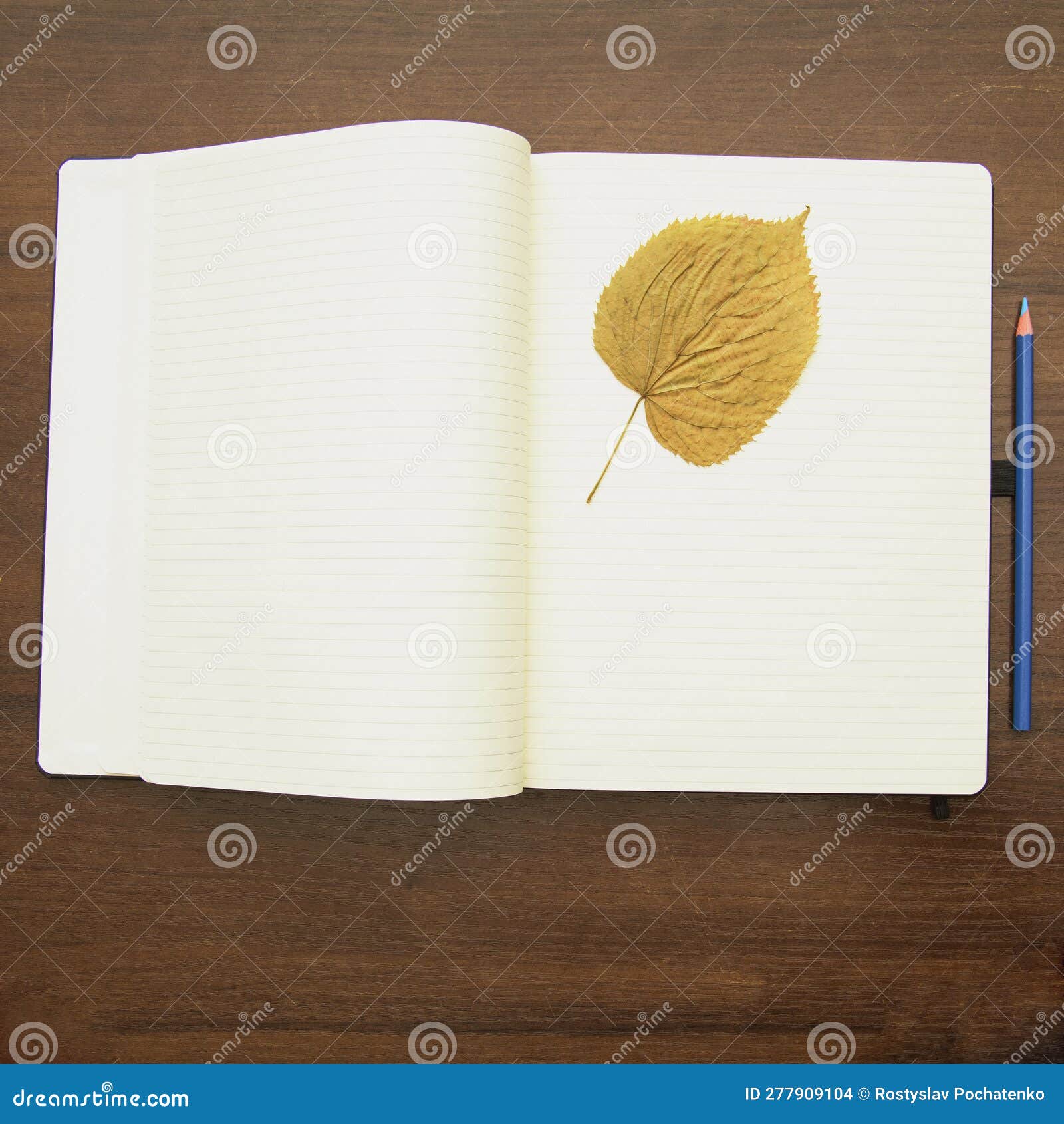 Notebook and Pencil on a Beautiful Background in a Photo Studio Stock ...