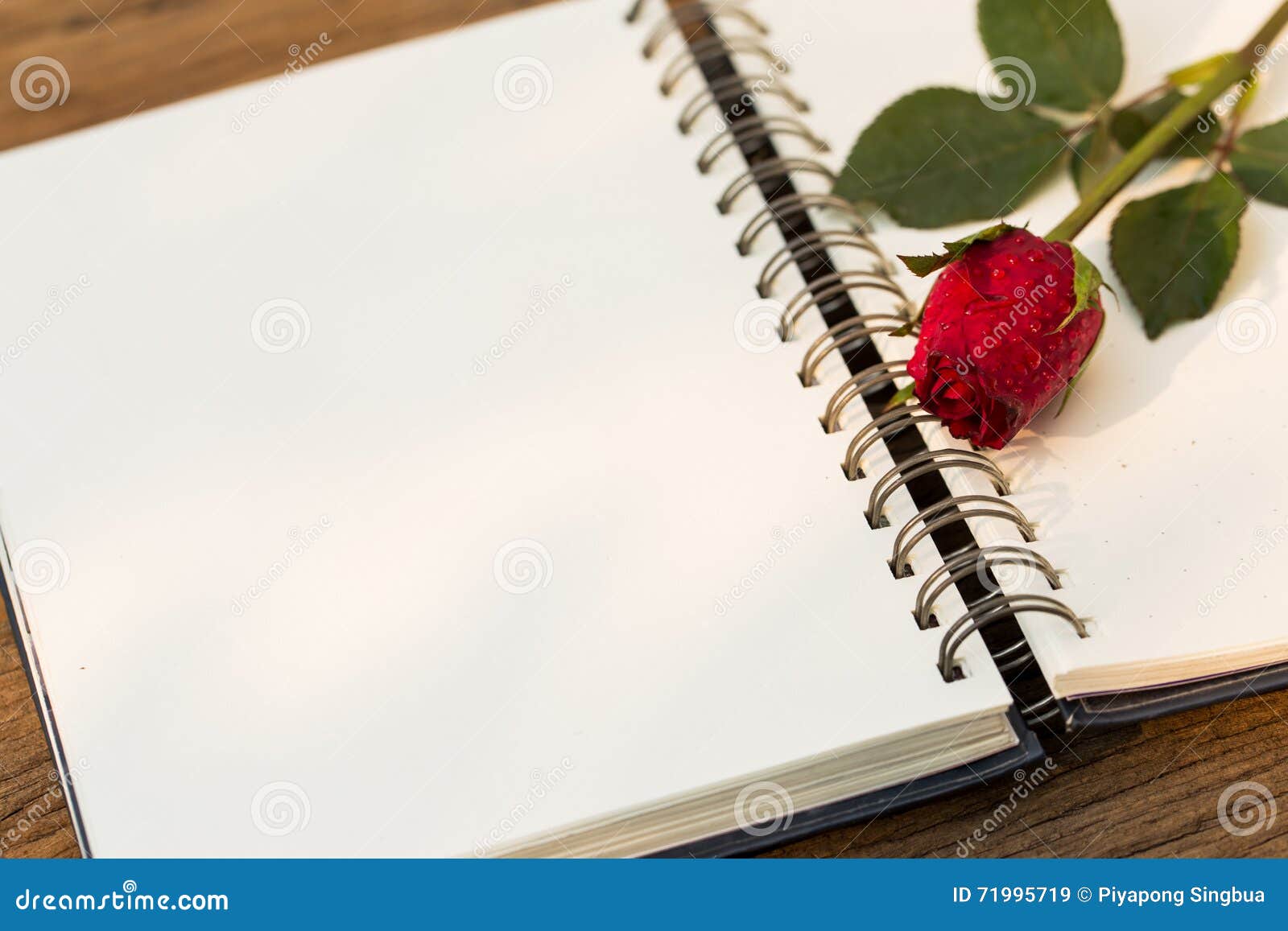 Notepad and Red Rose Lovely Concept Stock Image - Image of wooden, card ...
