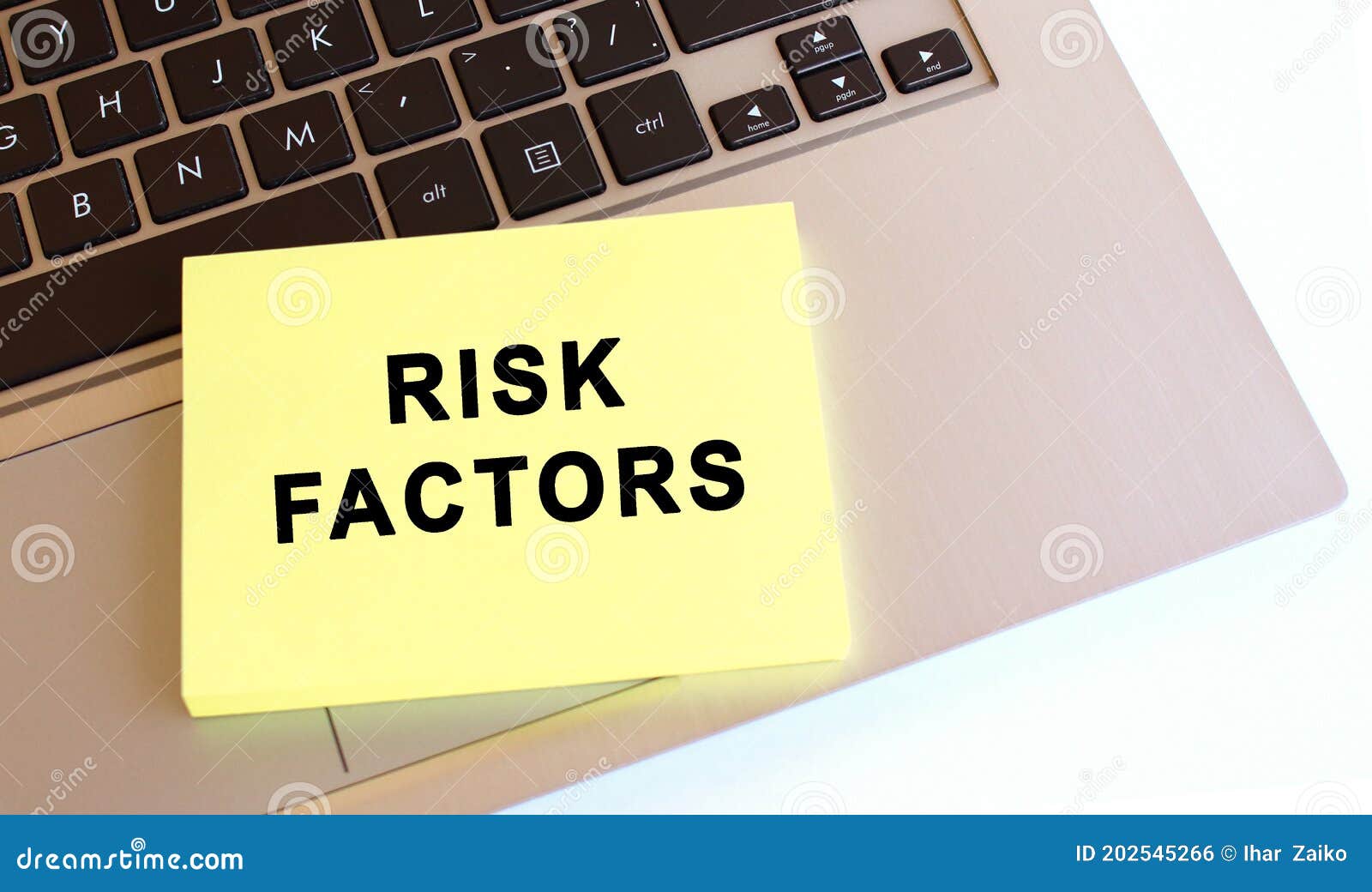 Notepad with the Text RISK FACTORS is on the Laptop Keyboard. Business ...