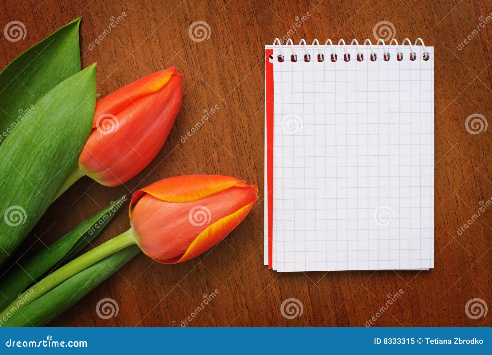 Notepad with tulips stock image. Image of nature, blossom - 8333315