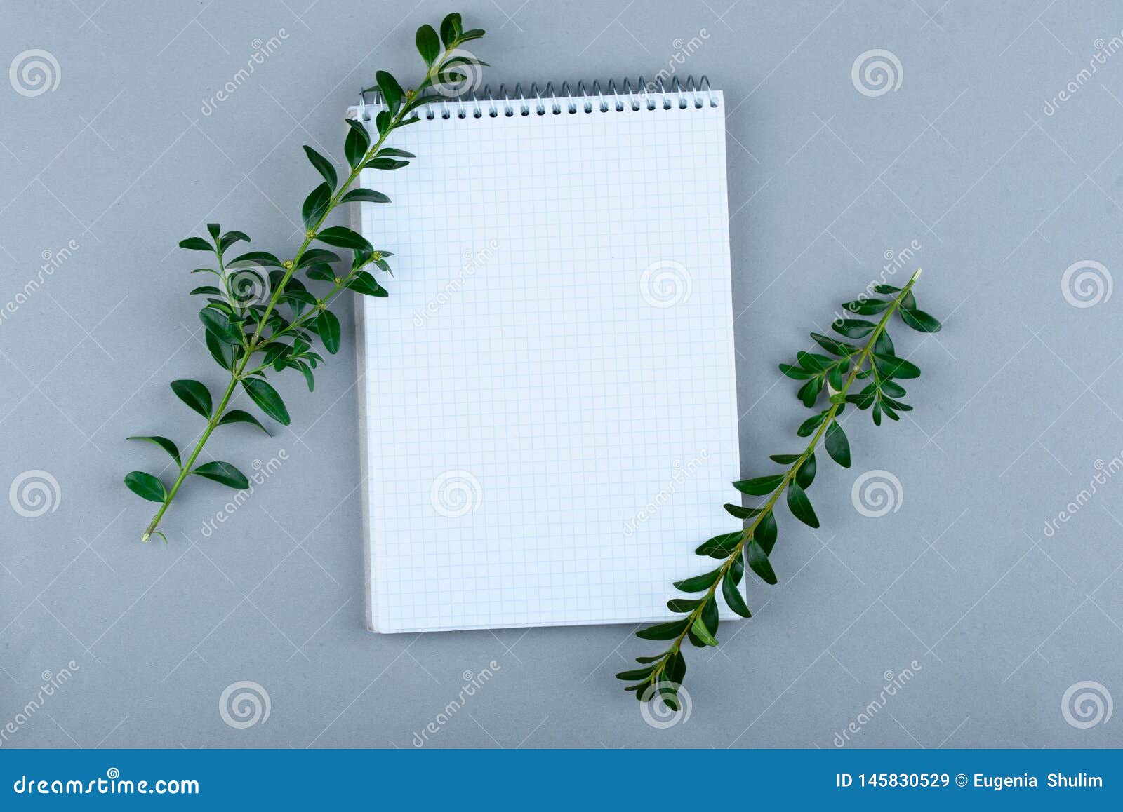 Notepad with White Sheets, with Leaves on a Colored Background Stock ...