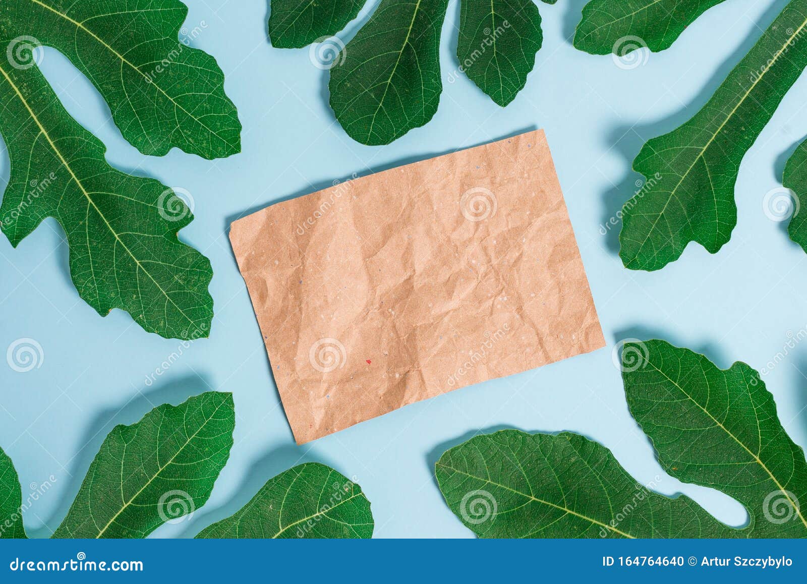 Notepaper Placed Above Plain Table between Green Leaves. Leafage ...