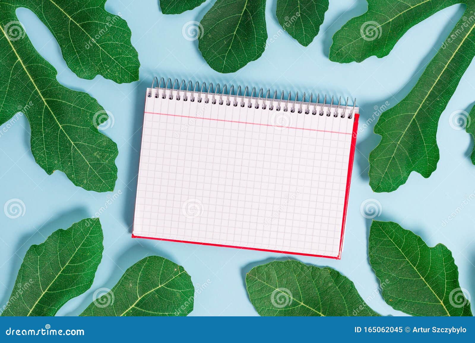 Notepaper Placed Above Plain Table between Green Leaves. Leafage ...