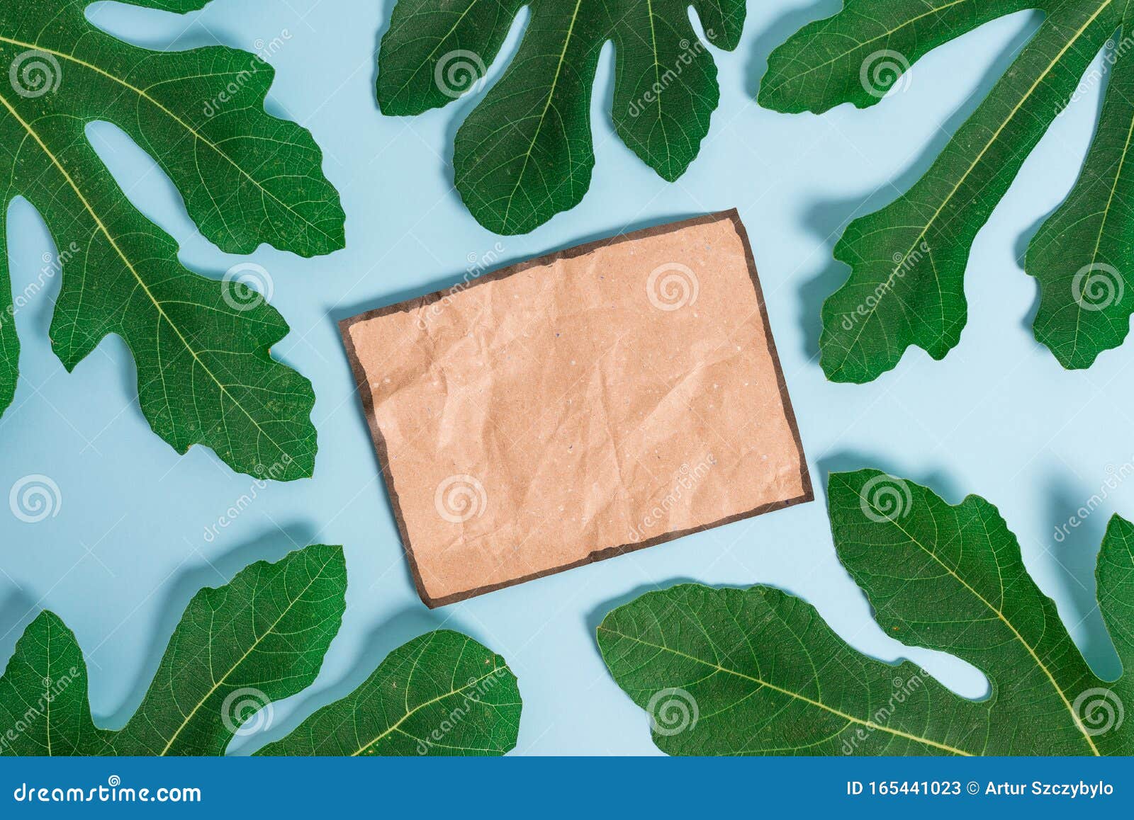 Notepaper Placed Above Plain Table between Green Leaves. Leafage ...