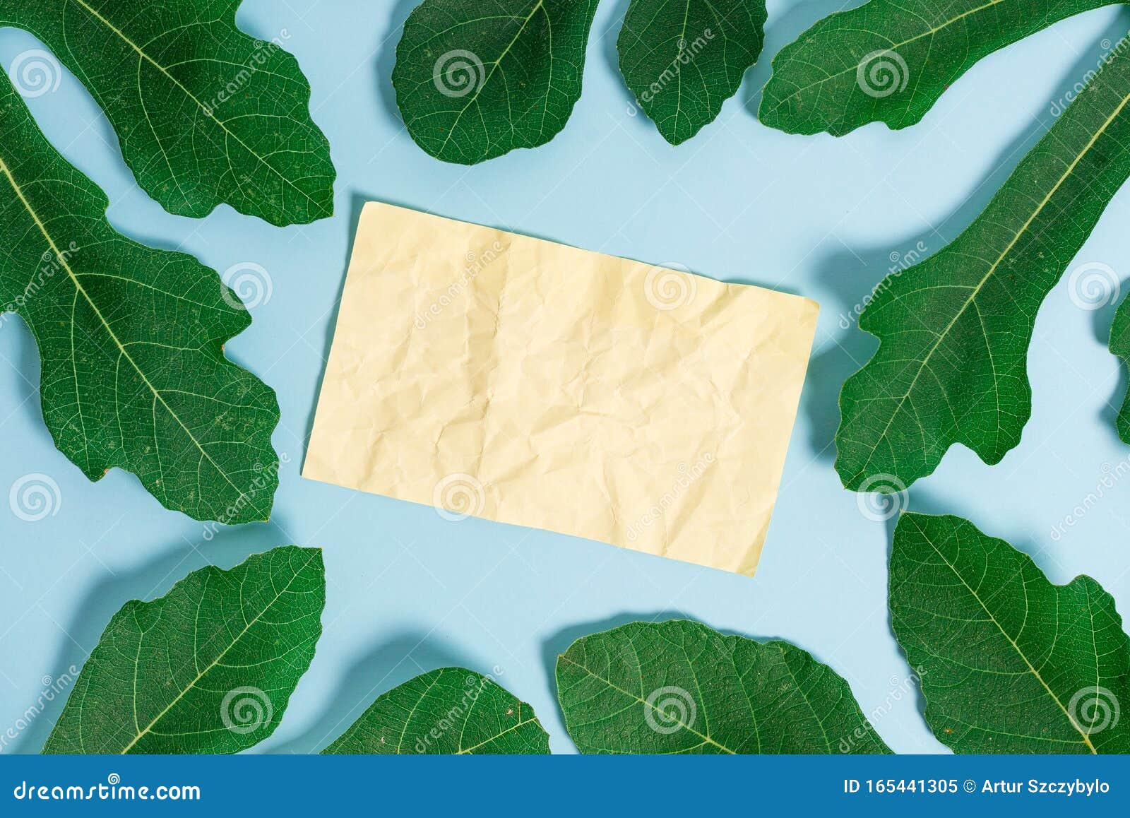 Notepaper Placed Above Plain Table between Green Leaves. Leafage ...